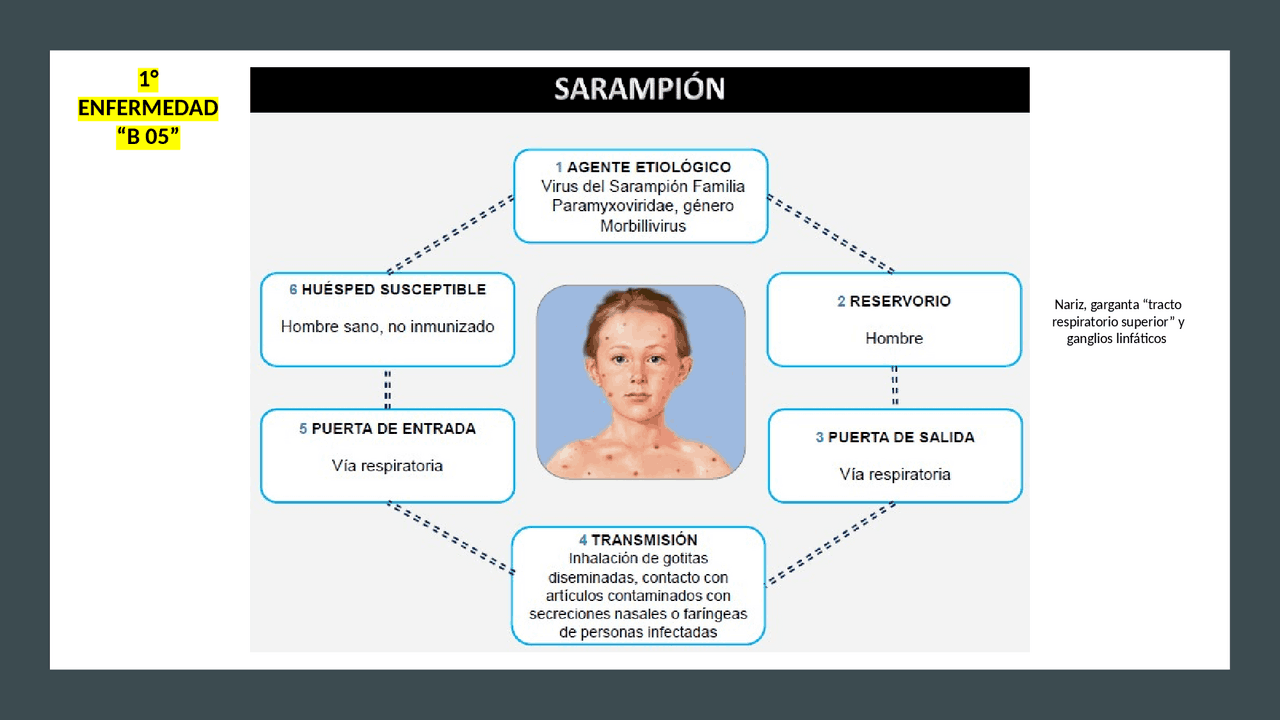 ENFERMEDADES ERUPTIVAS FEBRILES MAS FRECUENTES | Resumos de ...