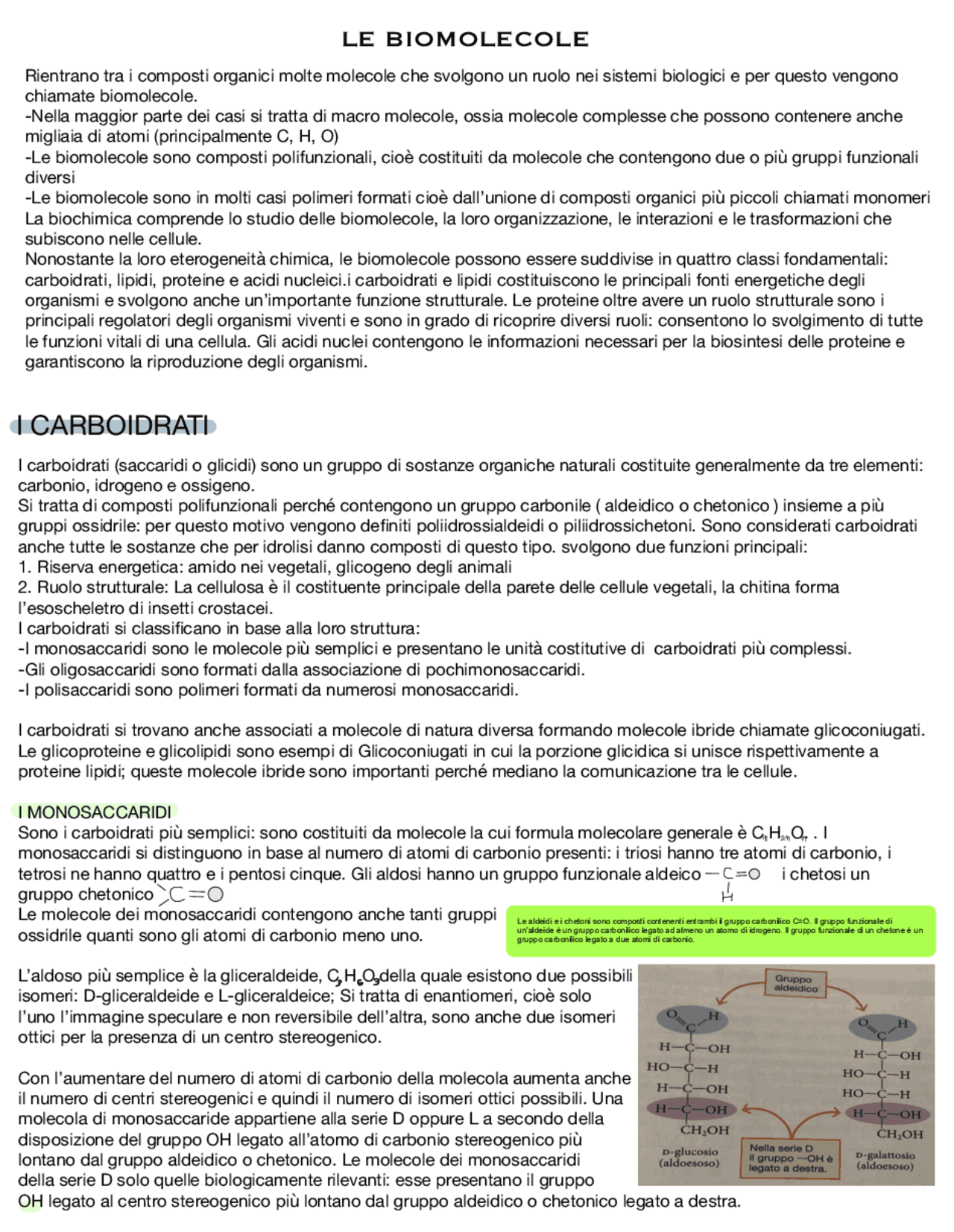 Riassunto Sulle Biomolecole Docsity