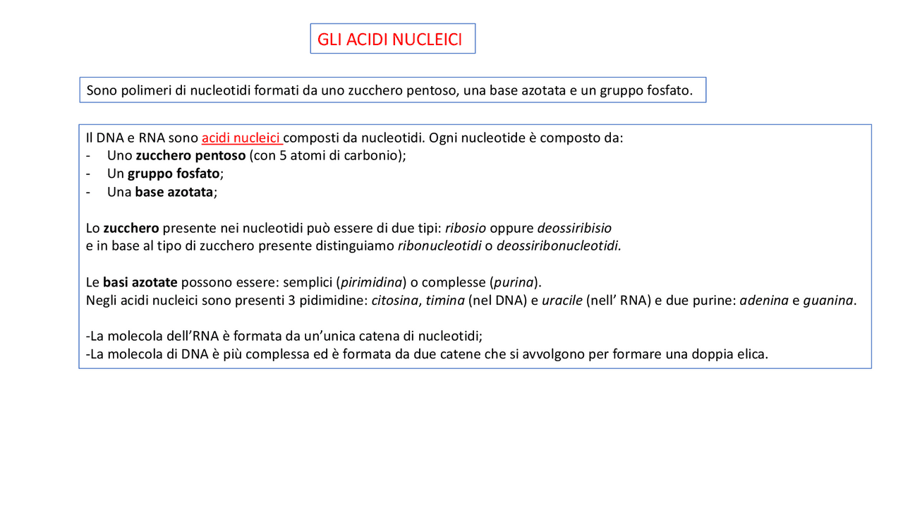 Schema Riassuntivo Gli Acidi Nucleici Docsity