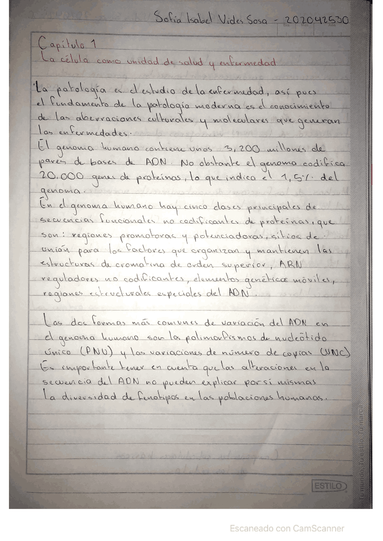 Resumen Capitulos 1 4 Robbins Resúmenes De Patología Docsity