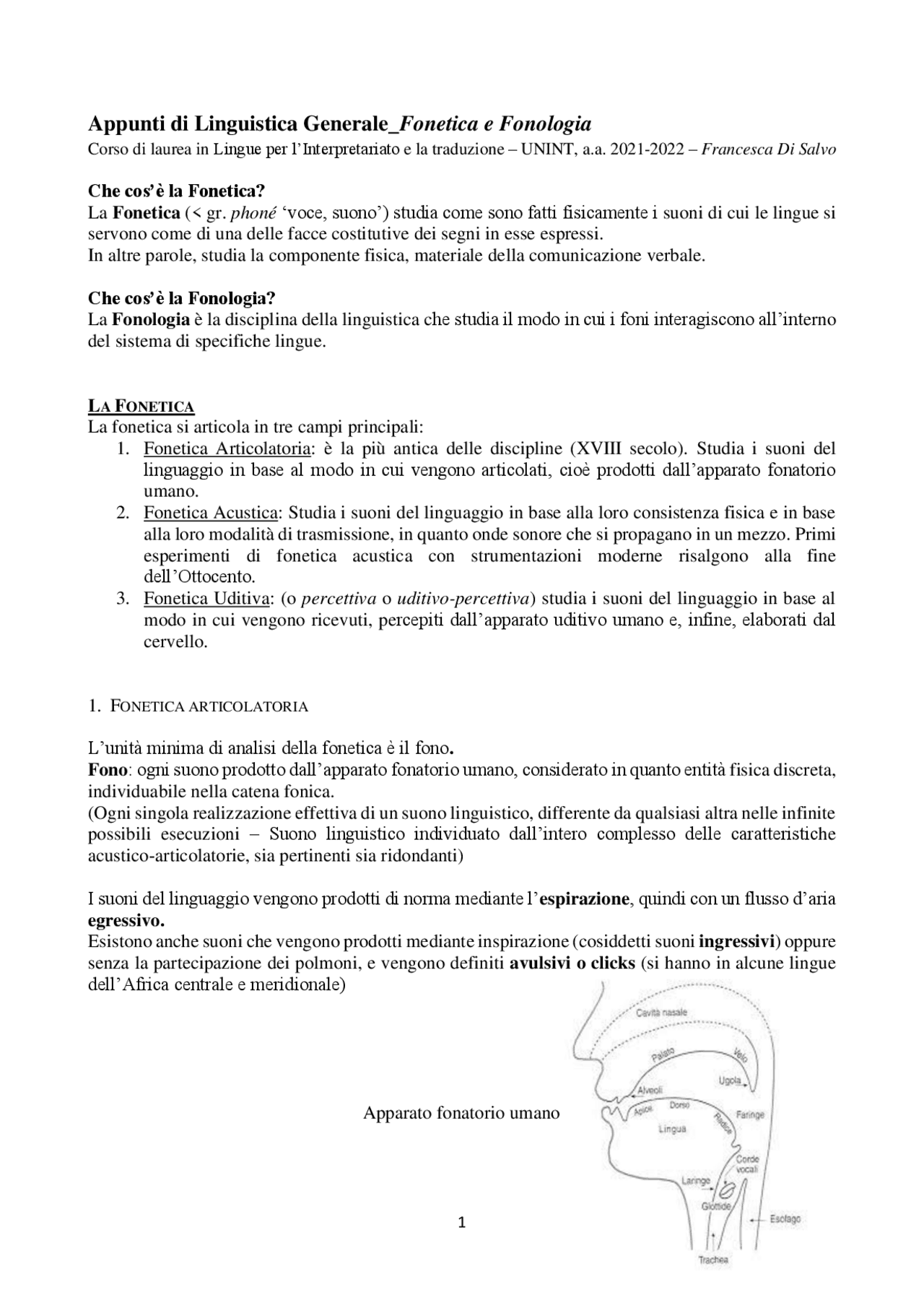 Appunti Fonetica E Fonologia Docsity