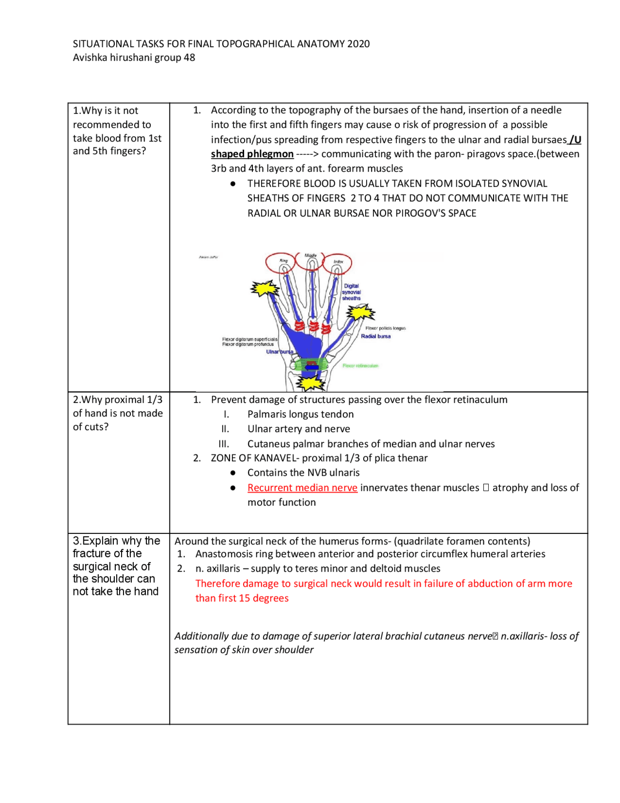 This will help you pass top anatomy situational practical exam - Docsity