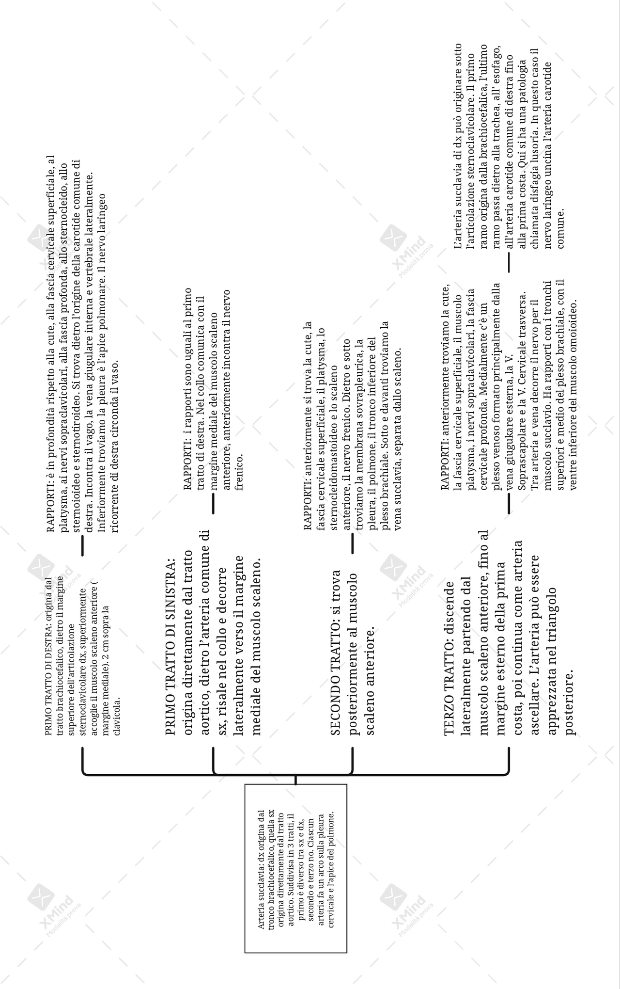 Mappe Concettuali Testa Collo Docsity