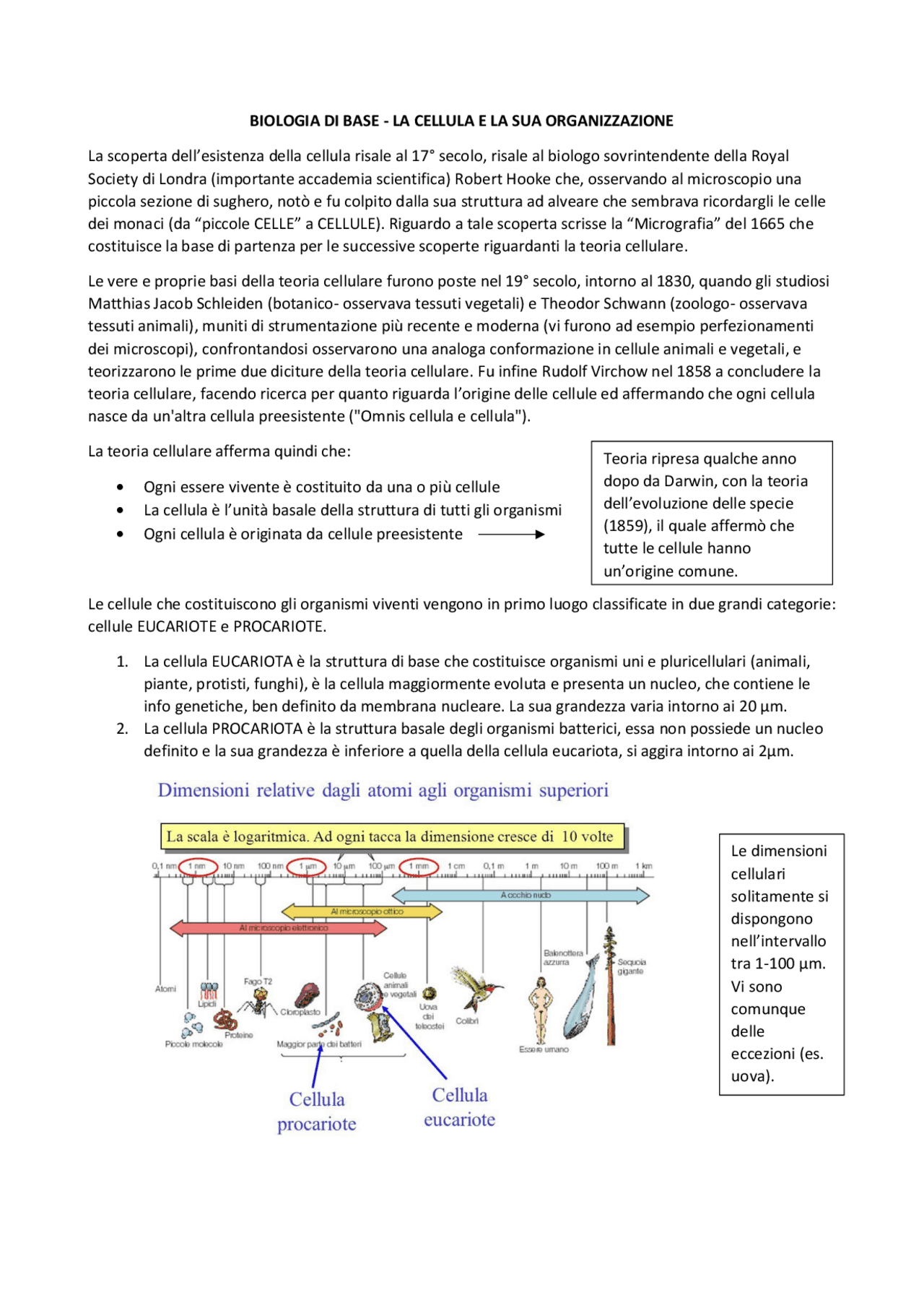 Appunti Biologia Per Infermieristica Docsity