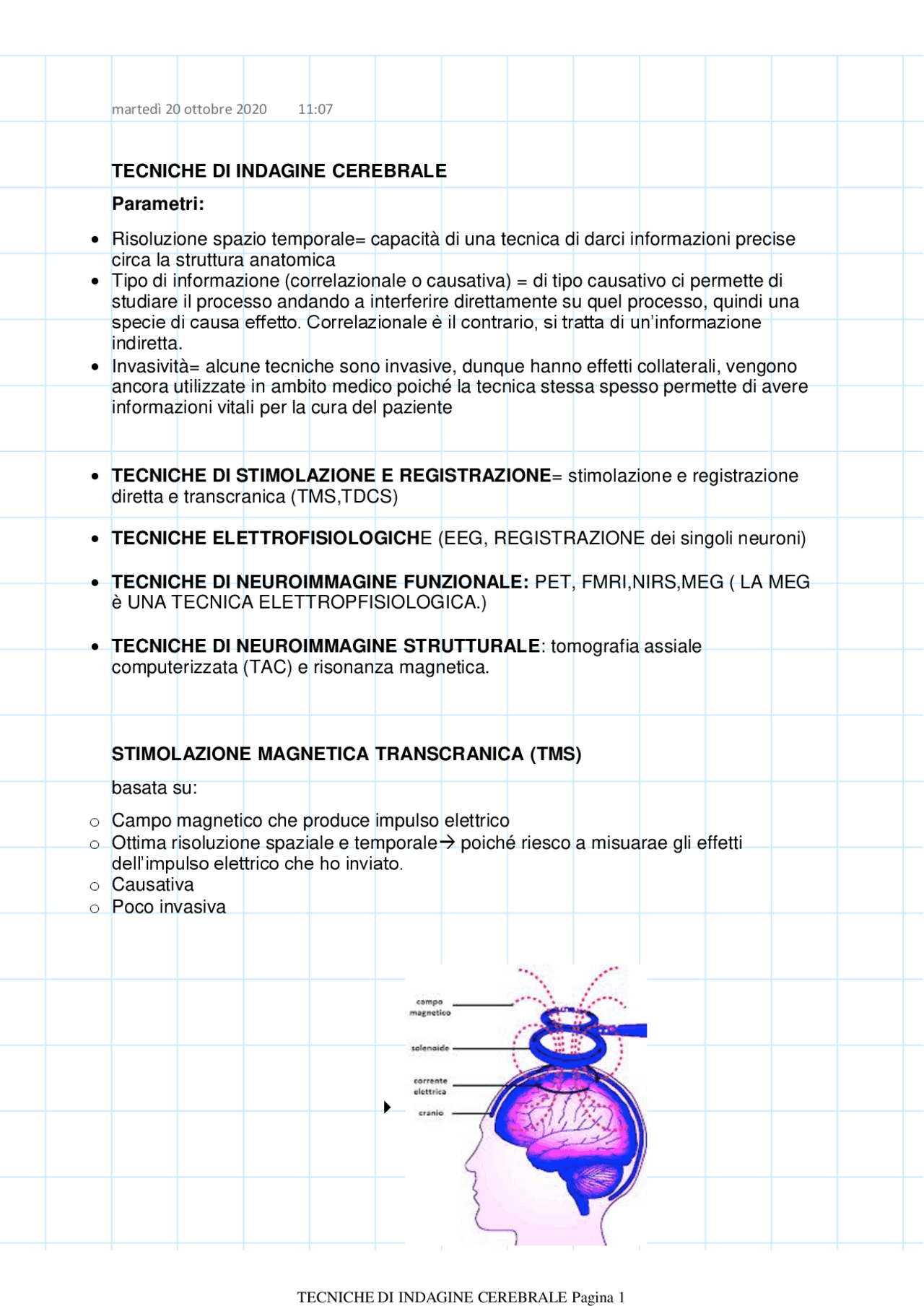Tecniche Di Indagine Cerebrale Docsity