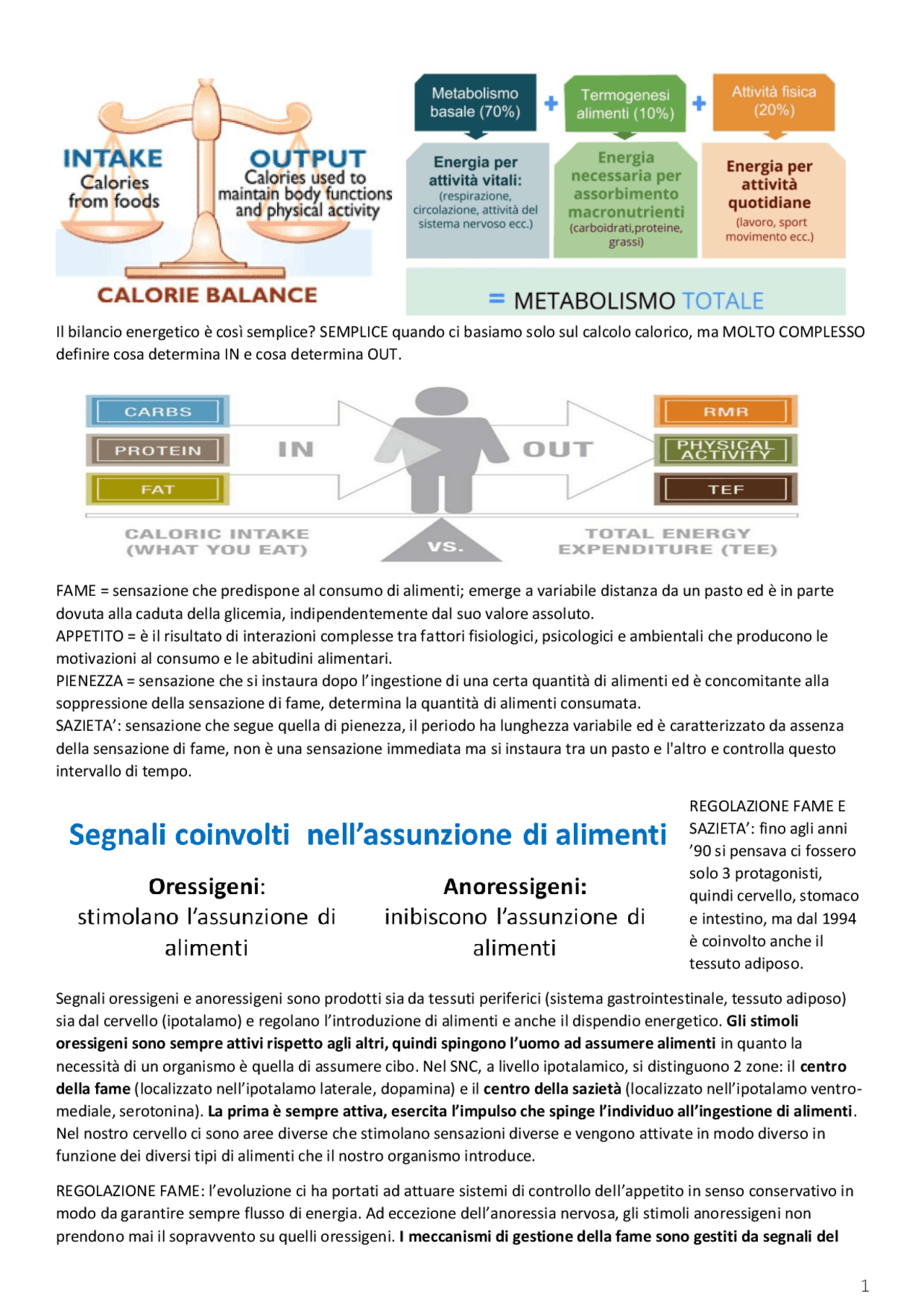 Nutrizione E Salute Corso Opzionale Parma Docsity