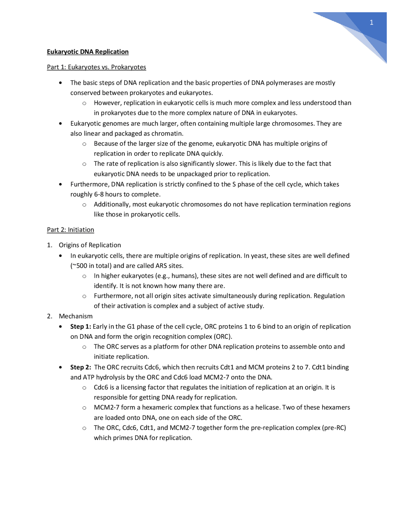 Dna Replication In Eukaryotes Docsity