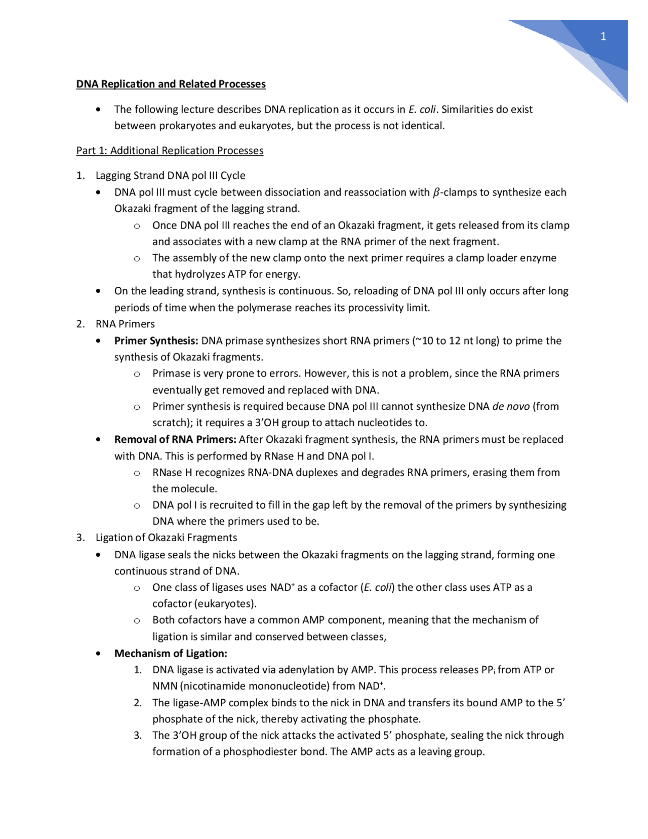 Other Dna Replication Processes Docsity