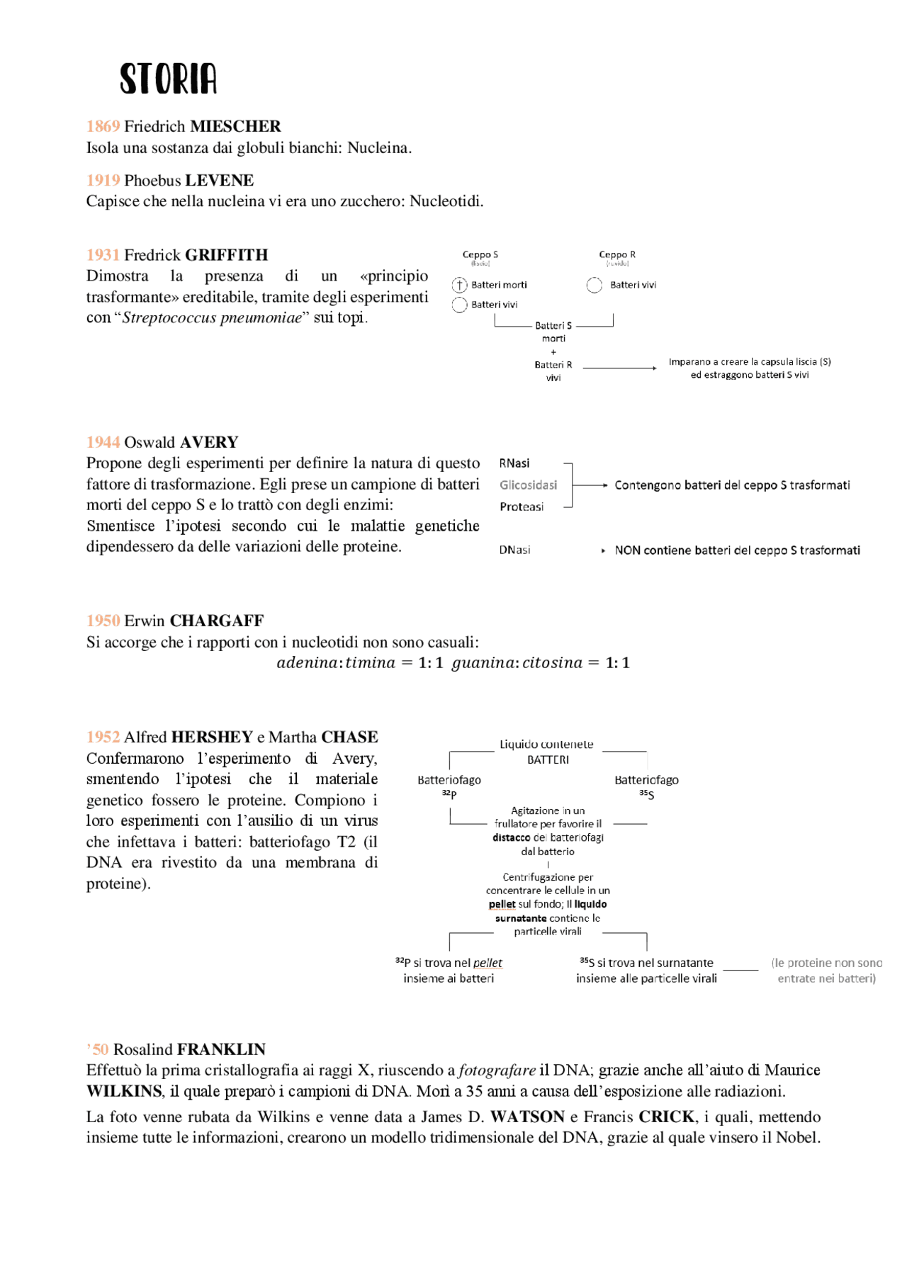Dna Virus E I Batteri Docsity