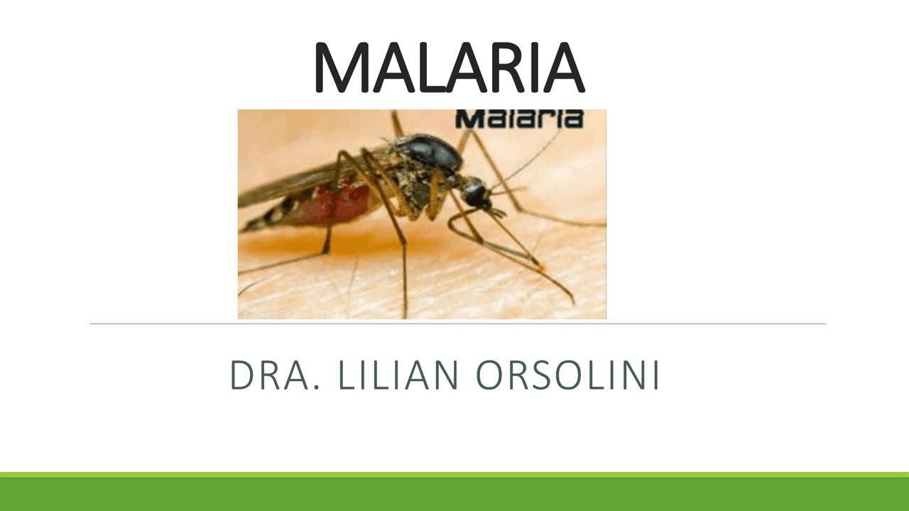 Malaria Parasitologia Docsity