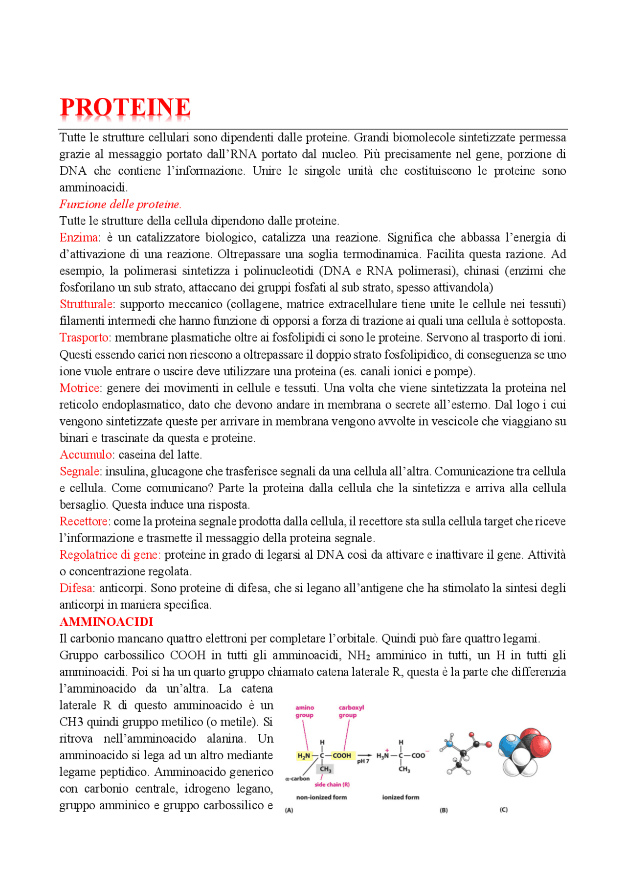 Biologia animale- le proteine - Docsity