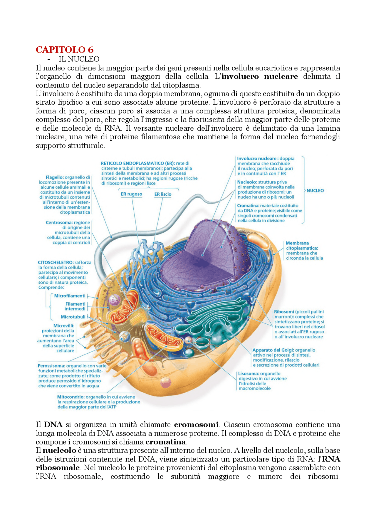 BIOLOGIA ANIMALE - appunti - Docsity