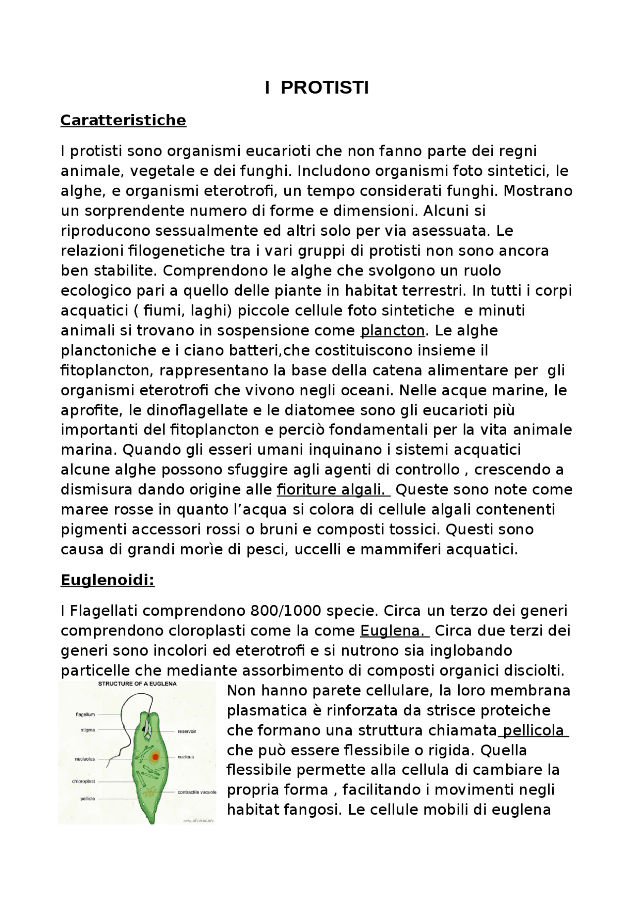 Protisti Caratteristiche E Tassonomia Docsity