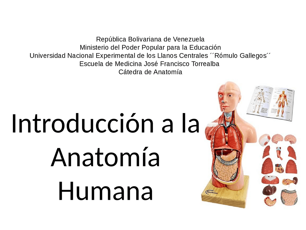 De La Anatomía A La Medicina