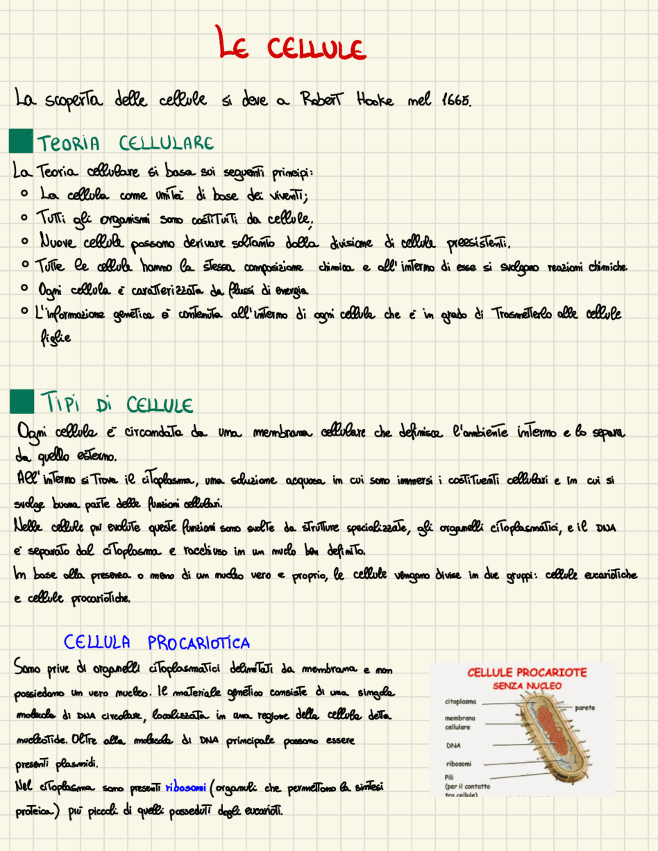 Le Cellule In Generale Docsity