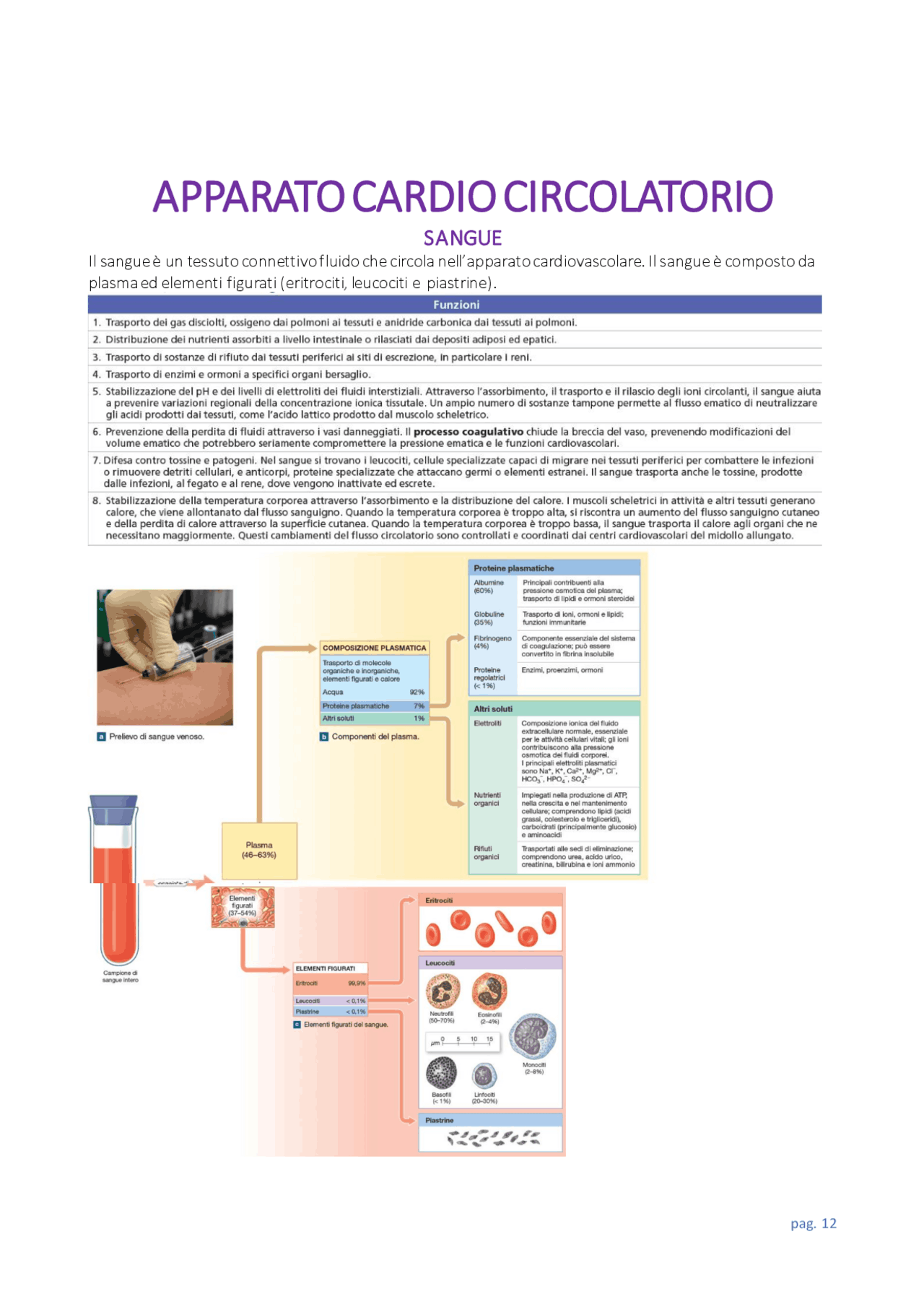 Apparato Cardiocircolatorio Docsity