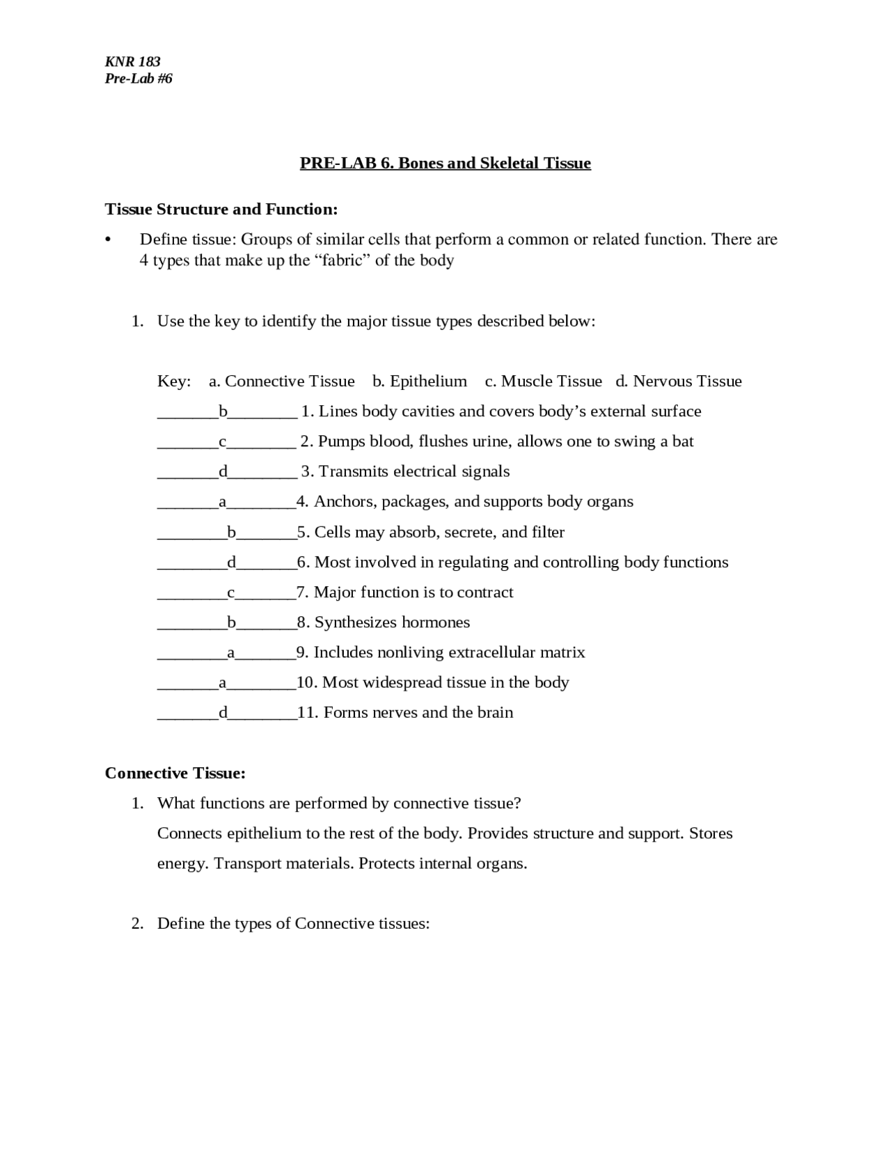 Tissue Classification Worksheet - Docsity