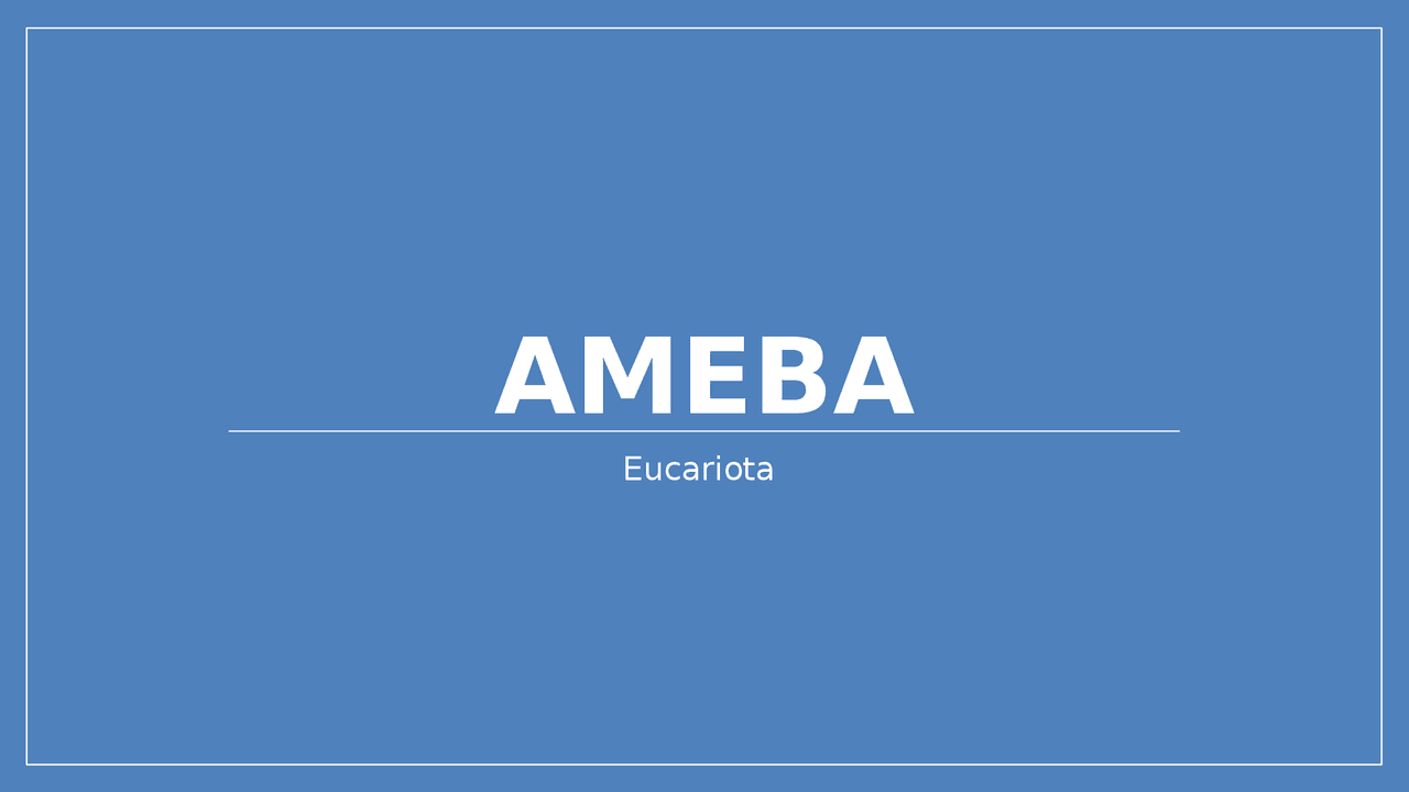 LA AMEBA Amoeba es un género de protistas unicelulares de la familia ...