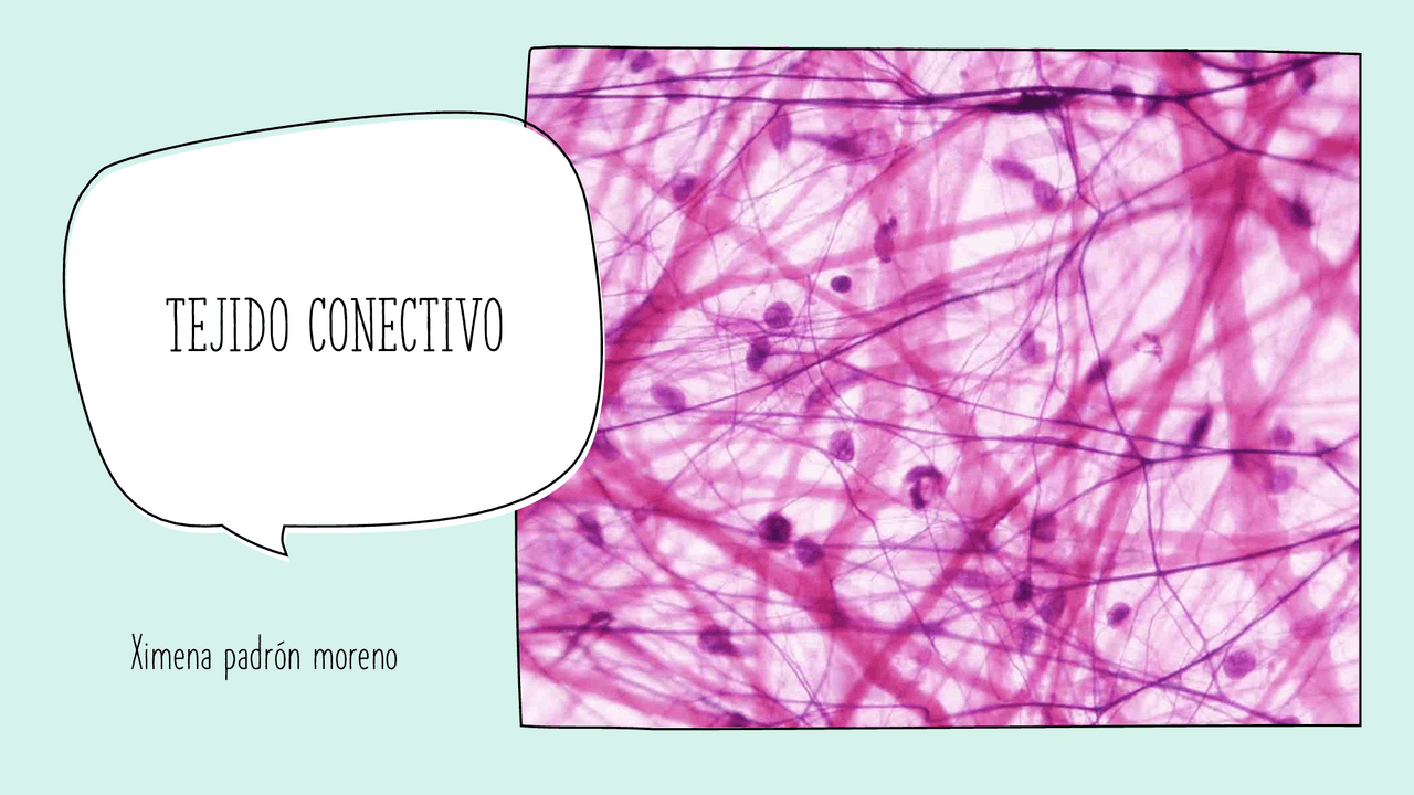 Generalidades del tejido conectivo - Docsity