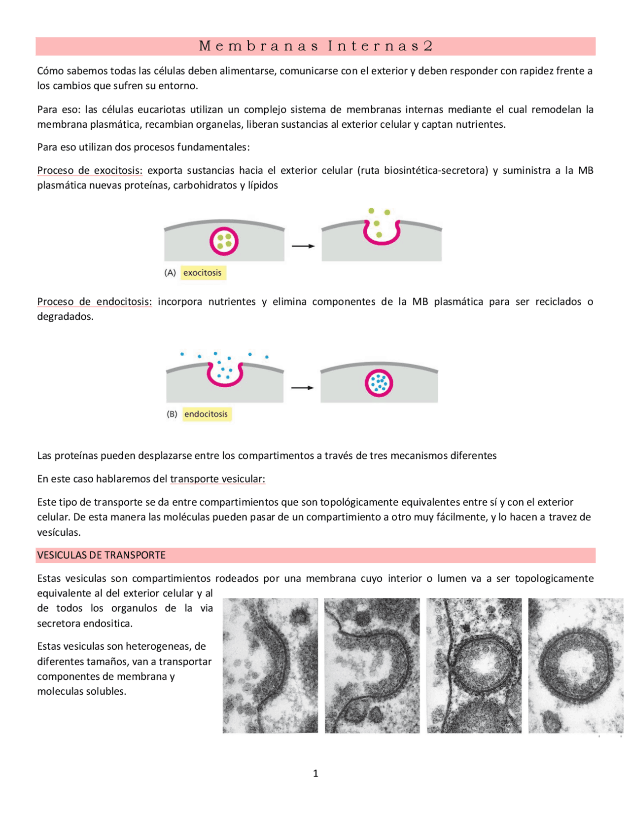 Membranas internas II - Docsity