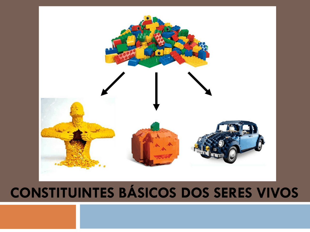 Powerpoint Biologia 10º Ano Slides Biologia Docsity