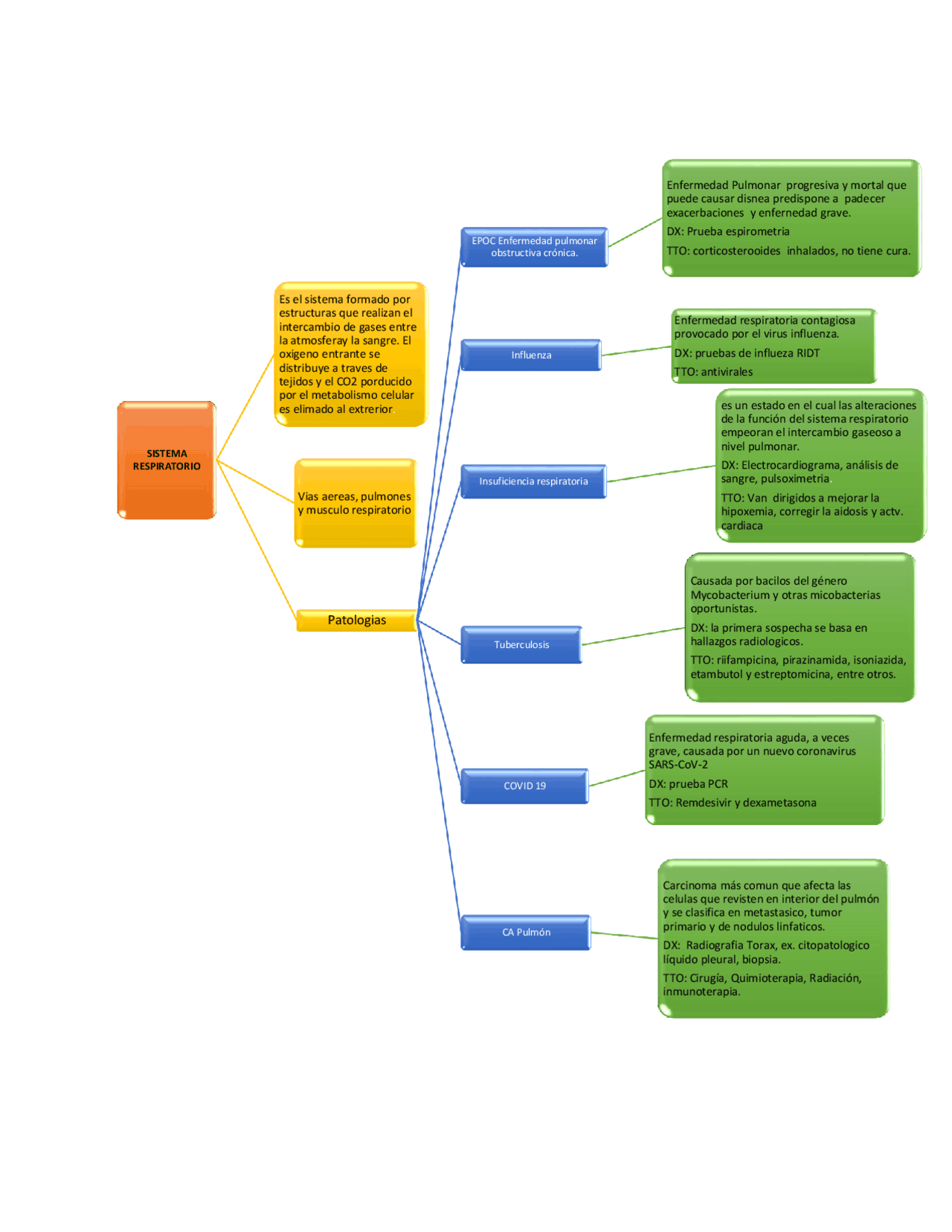 Sistema Respiratorio Docsity