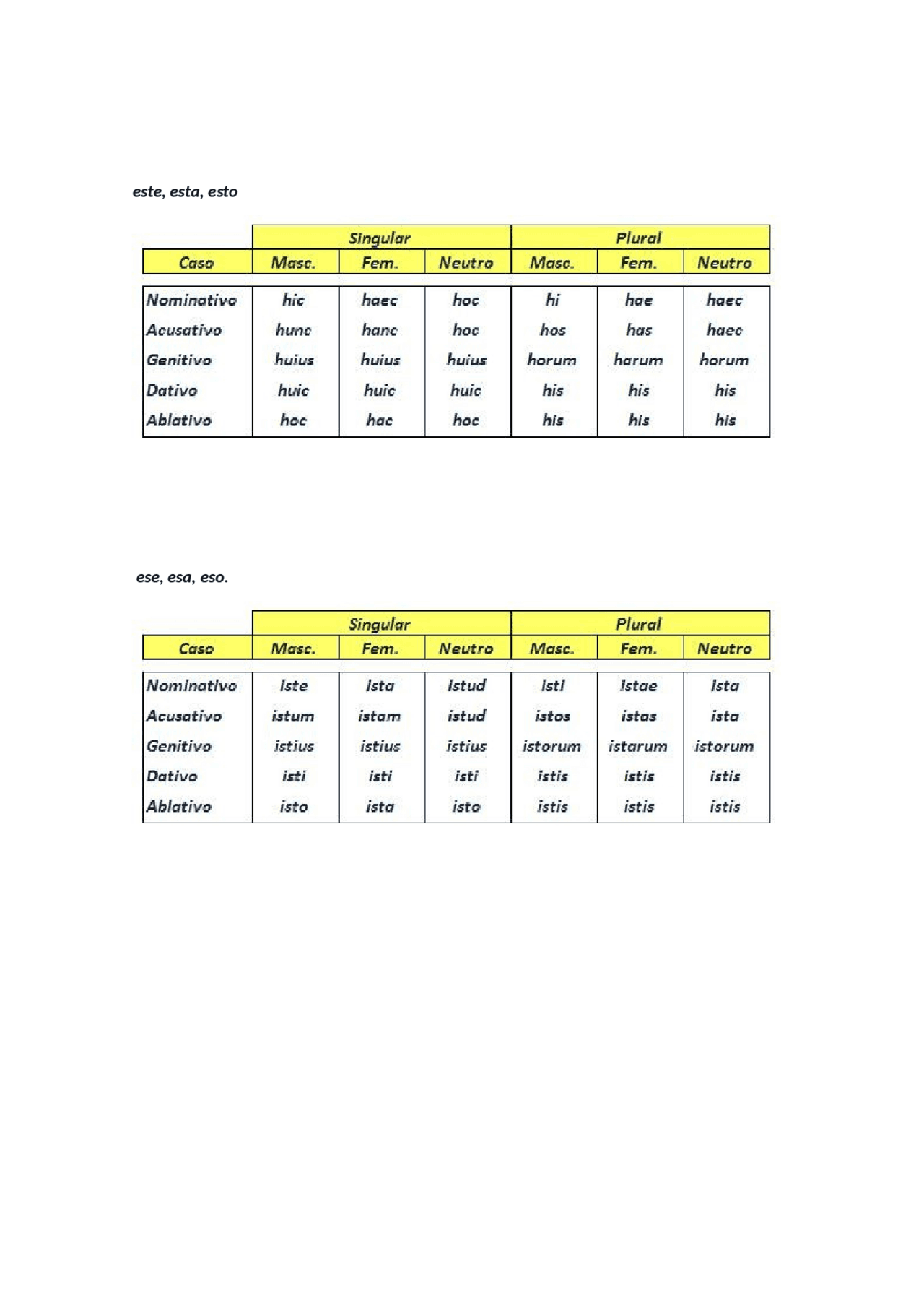 Cuadro Singular Y Plural Esquemas Y Mapas Conceptuales De Latín Docsity