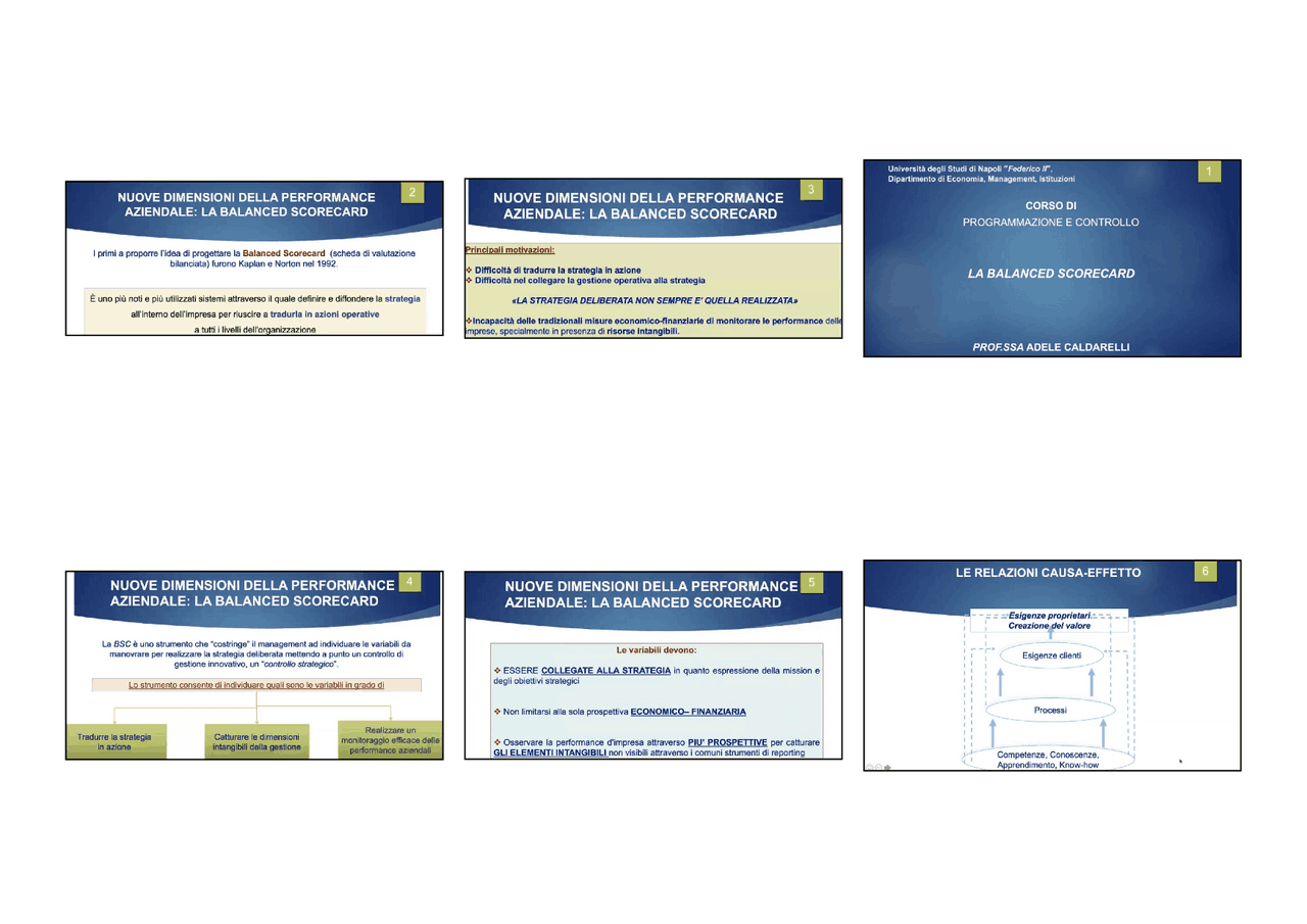Schema Programmazione E Controllo Docsity