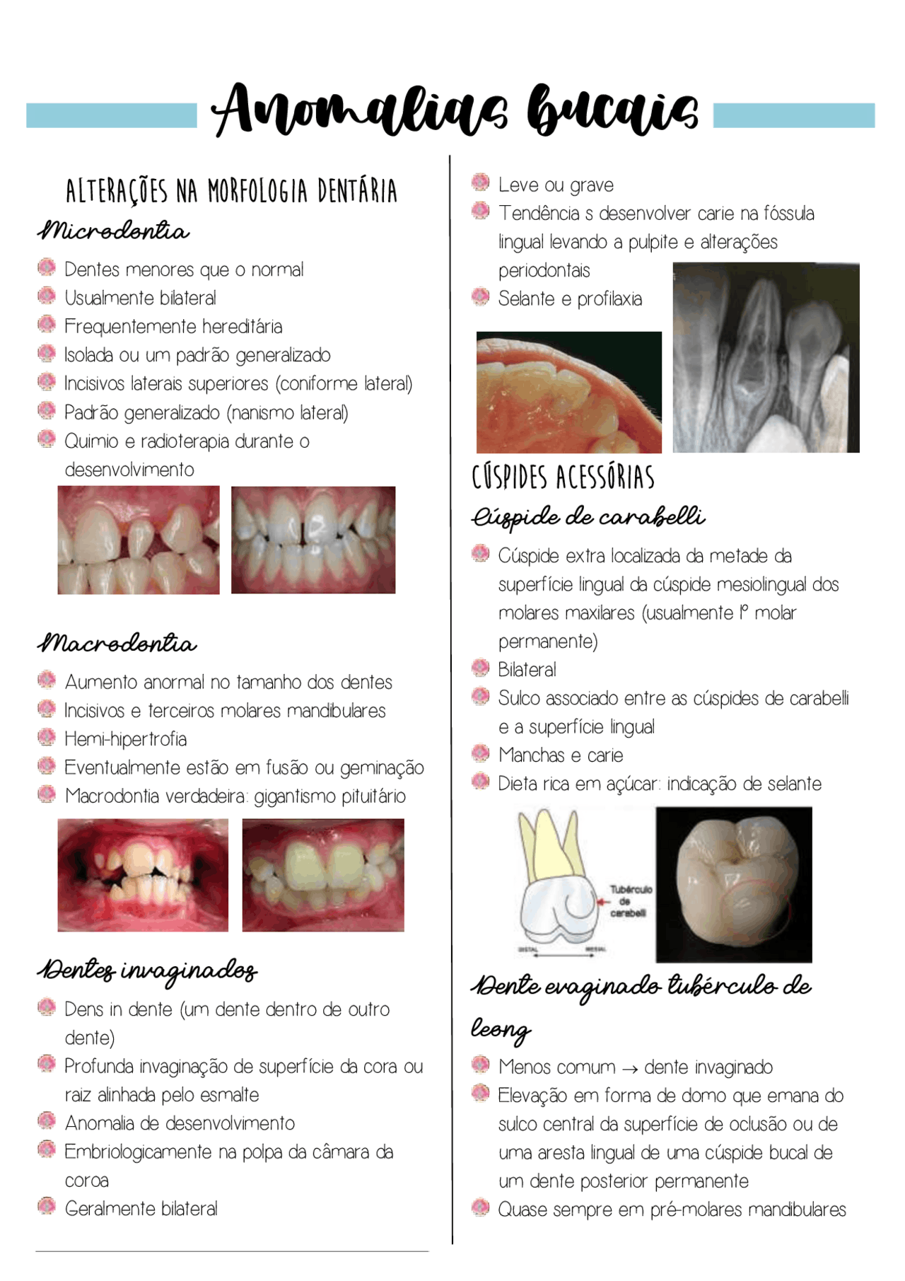 Anomalias Dentárias Docsity