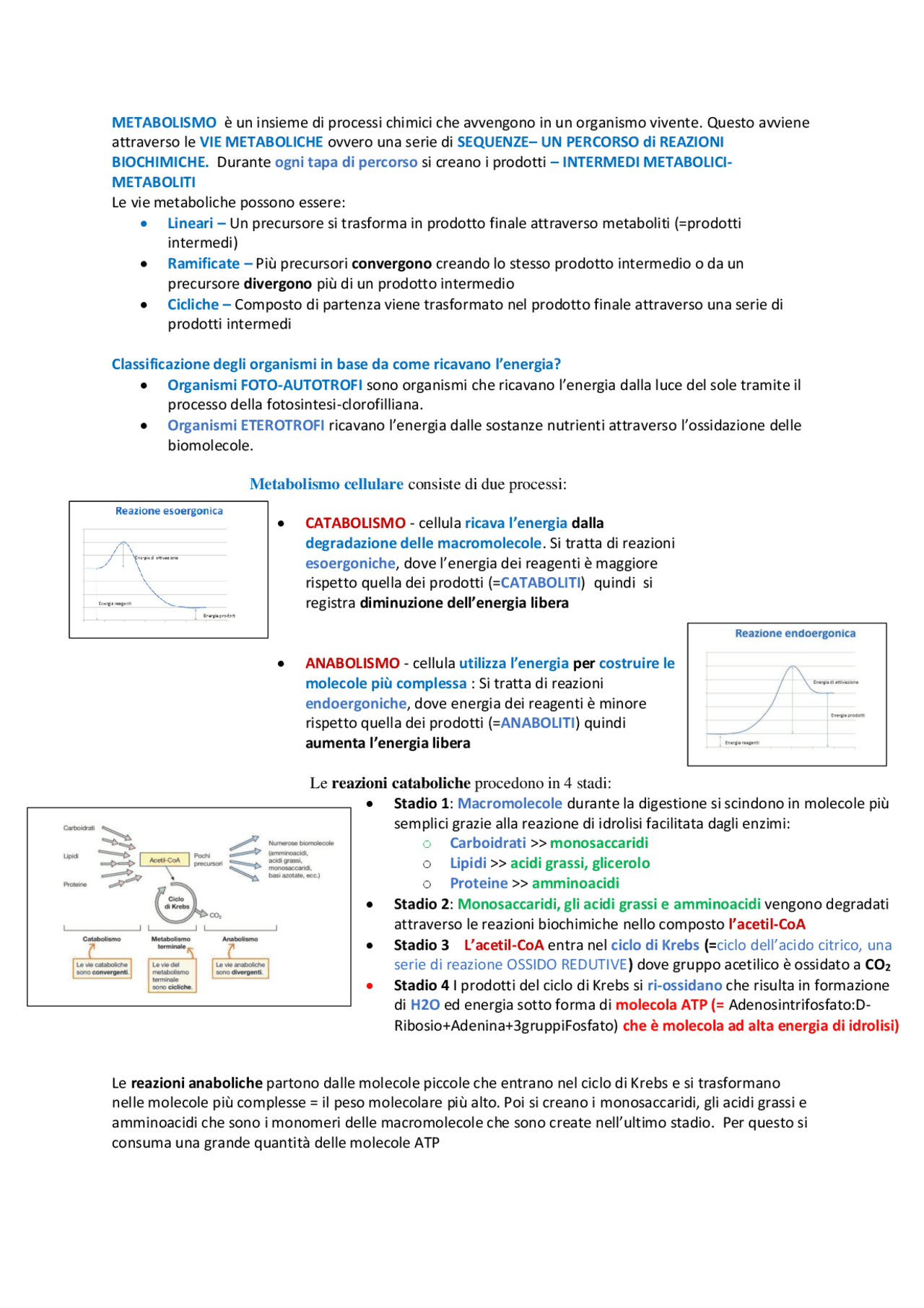 Biochimica Metabolismo Enzimi Docsity