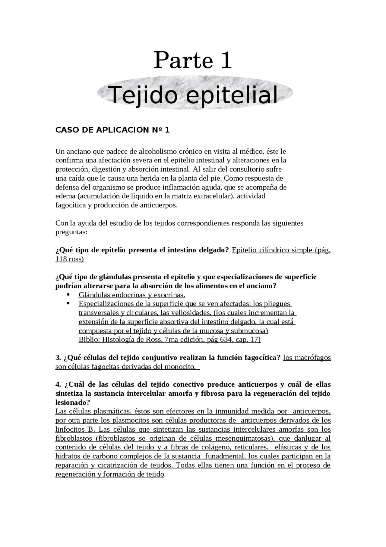 Apuntes De Anatomia Tejidos Apuntes De Anatomía Docsity