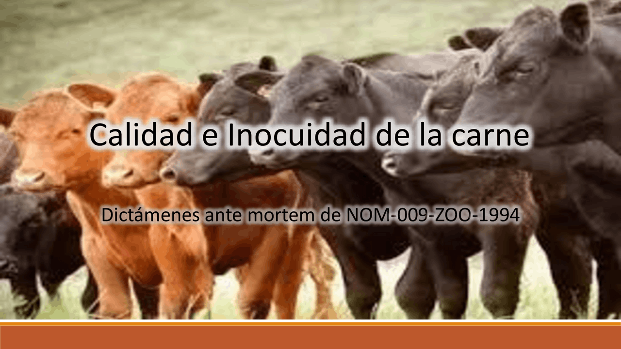 Calidad e inocuidad de la carne - Docsity