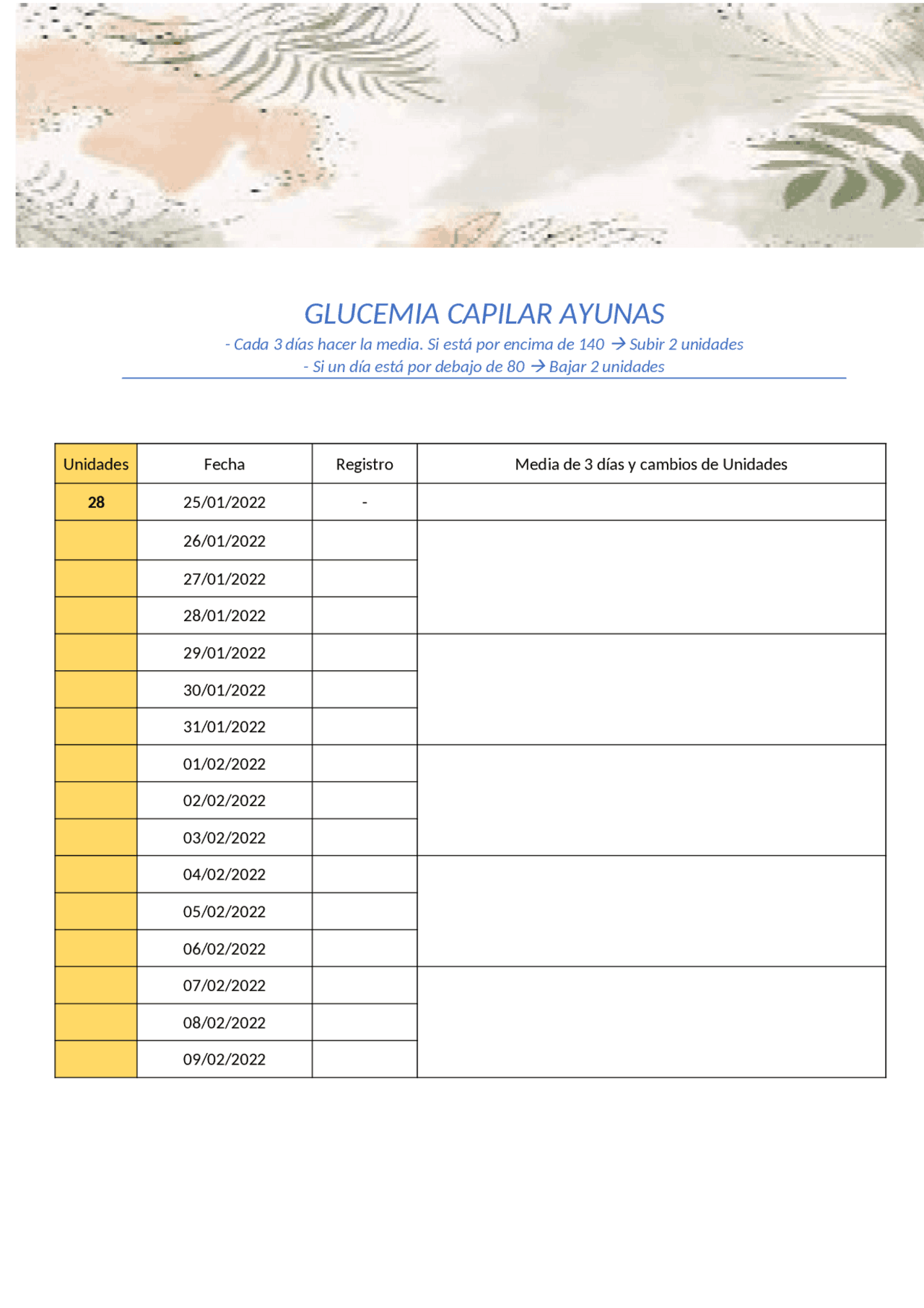 Registro de glucosa capilar diaria: guía para el seguimiento de su ...