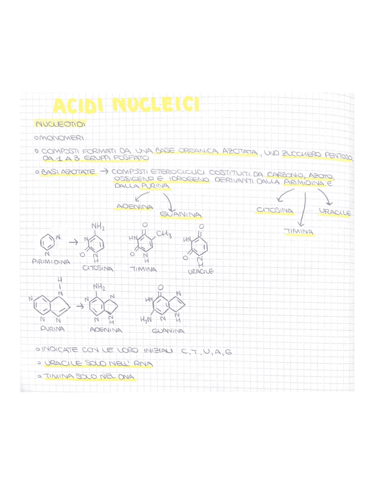 Acidi Nucleici Dna E Rna Docsity