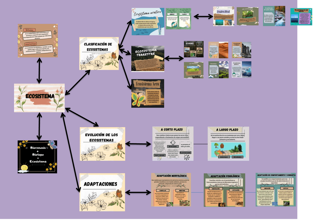 Mapa De Ecosistemas Docsity