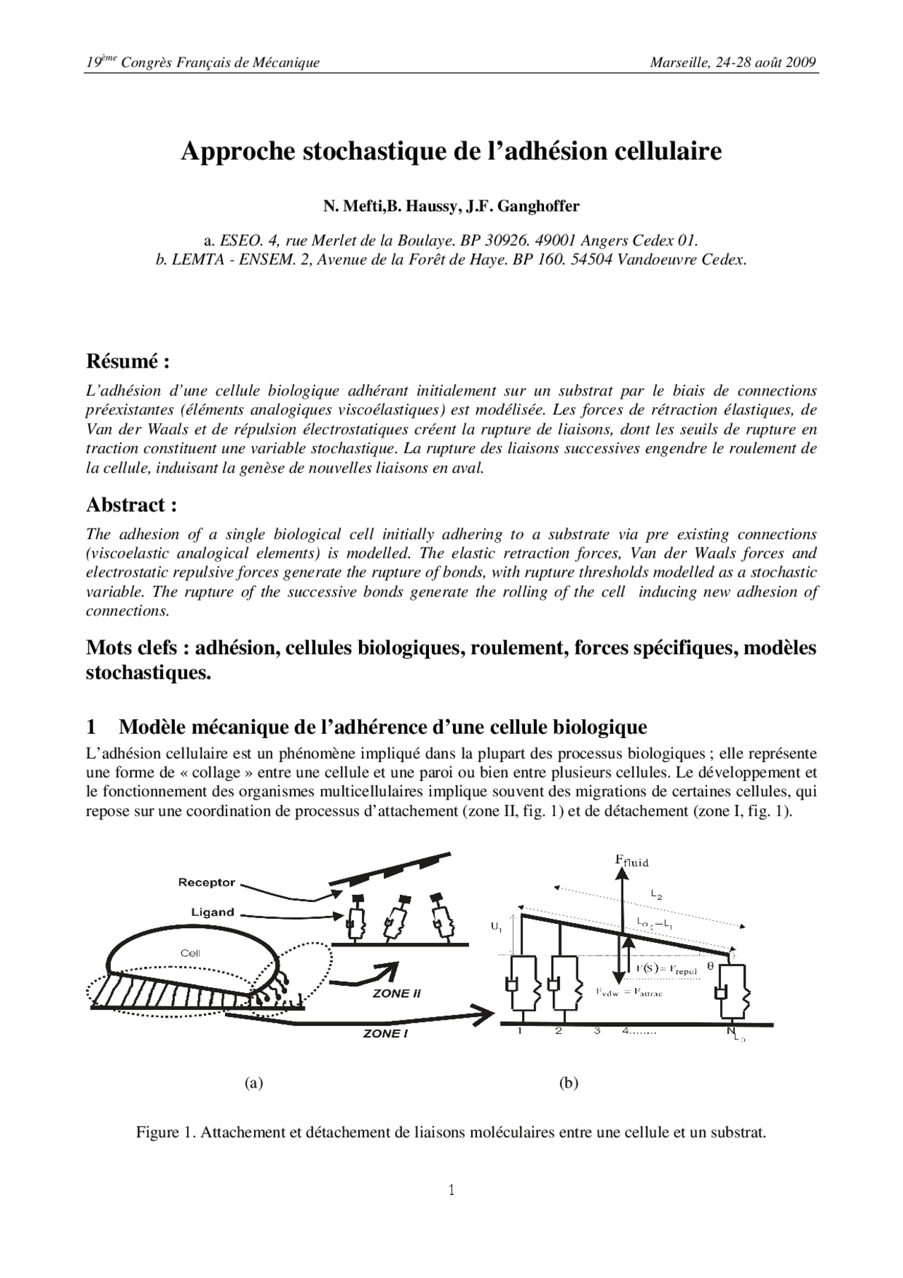Approche stochastique de l’adhésion cellulaire - Docsity