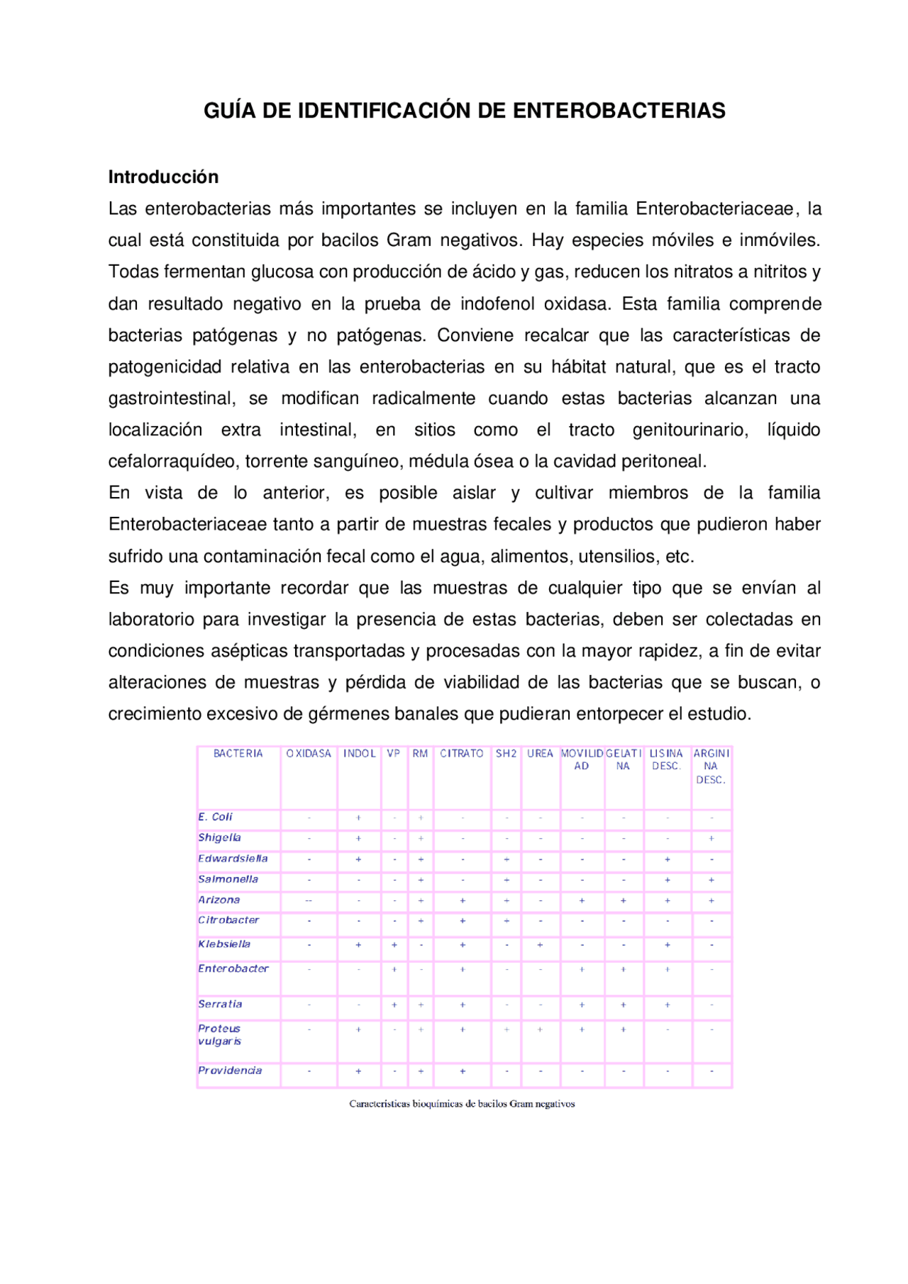 Identificacion de las enterobacterias | Apuntes de Bacteriología - Docsity