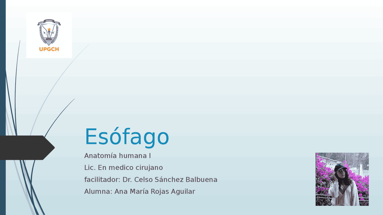 Diapositivas de esofago - Docsity