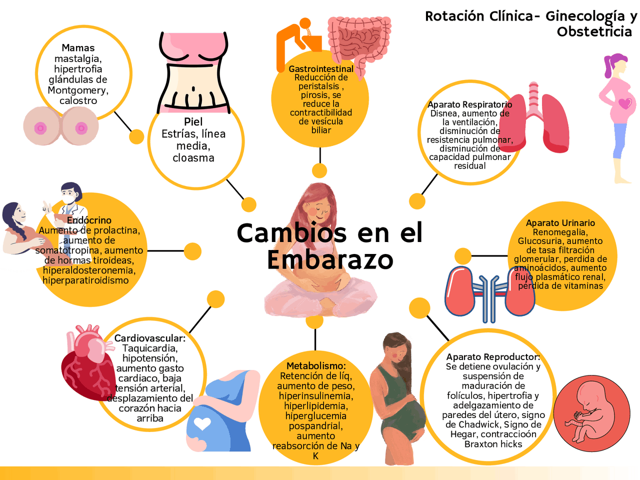 Trabajo de parto en embarazo de termino - Docsity