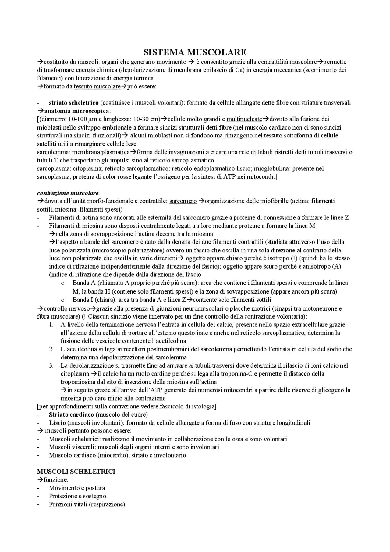 Sistema Muscolare Sintesi Del Corso Di Anatomia Docsity
