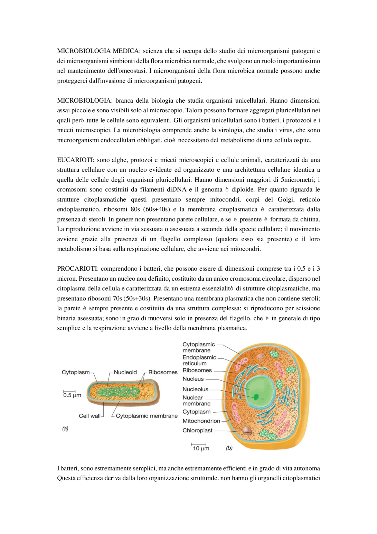Riassunto Di Microbiologia Schemi E Mappe Concettuali Di Microbiologia Clinica Docsity