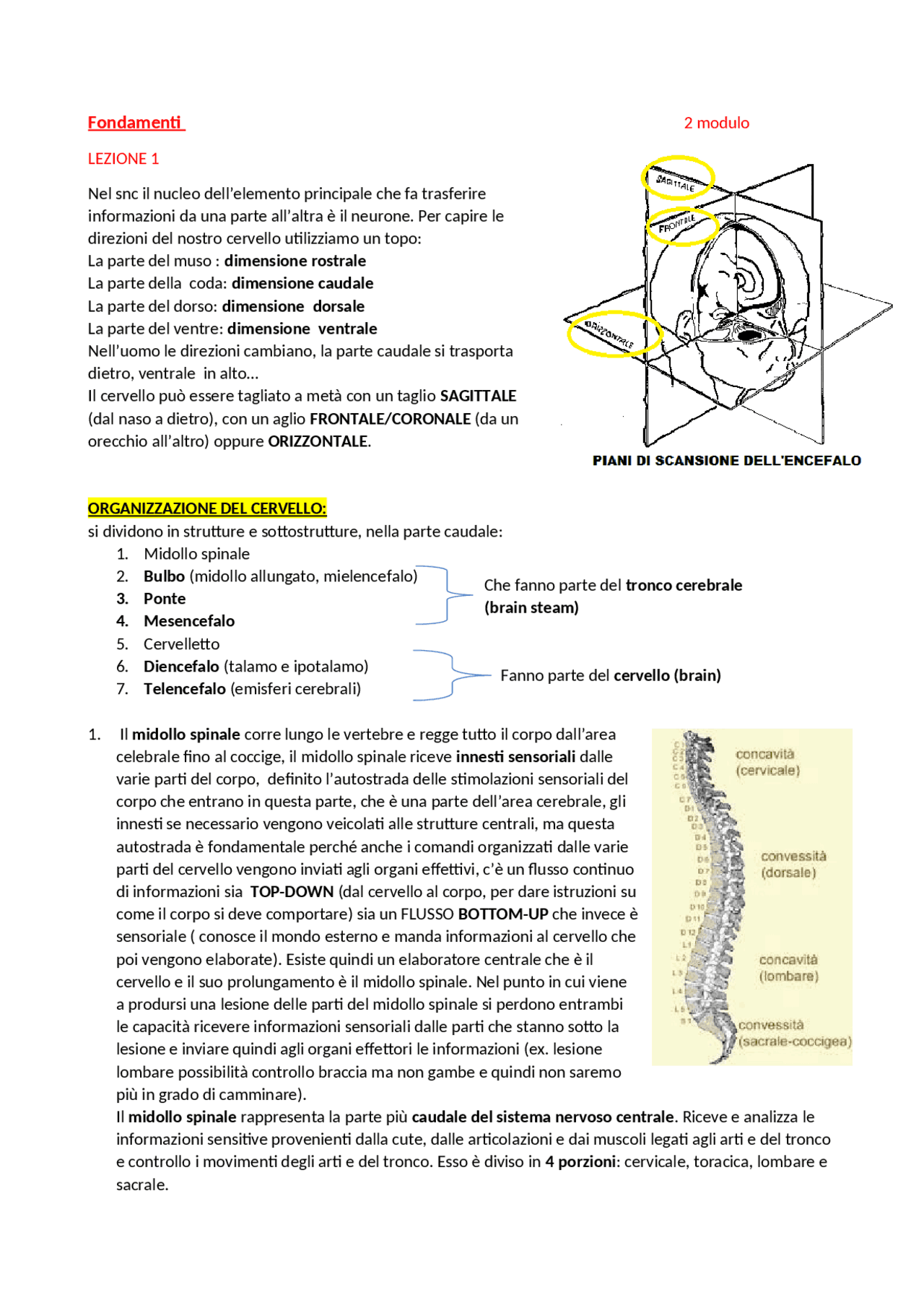 Fondamenti Modulo 2 Appunti Docsity