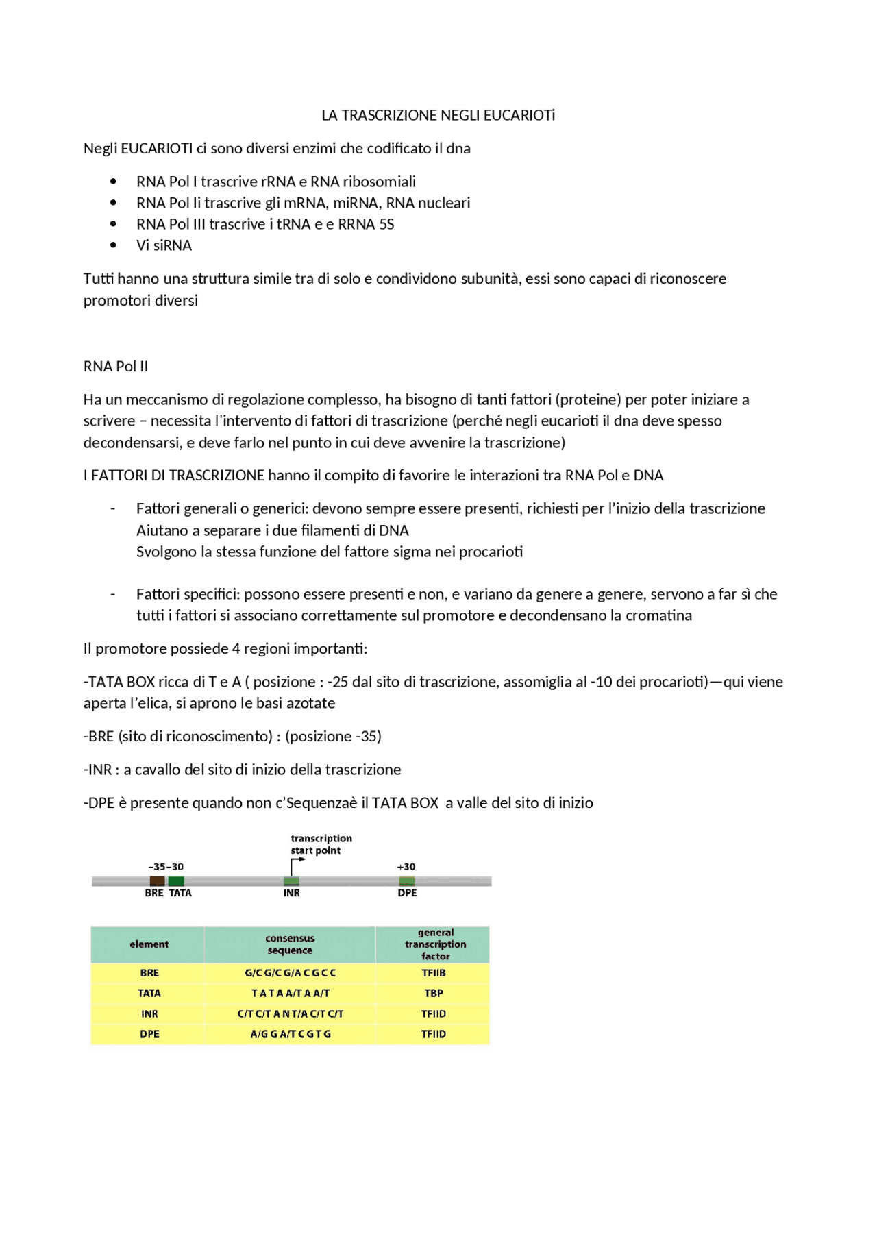 Trascrizione Degli Eucarioti Docsity