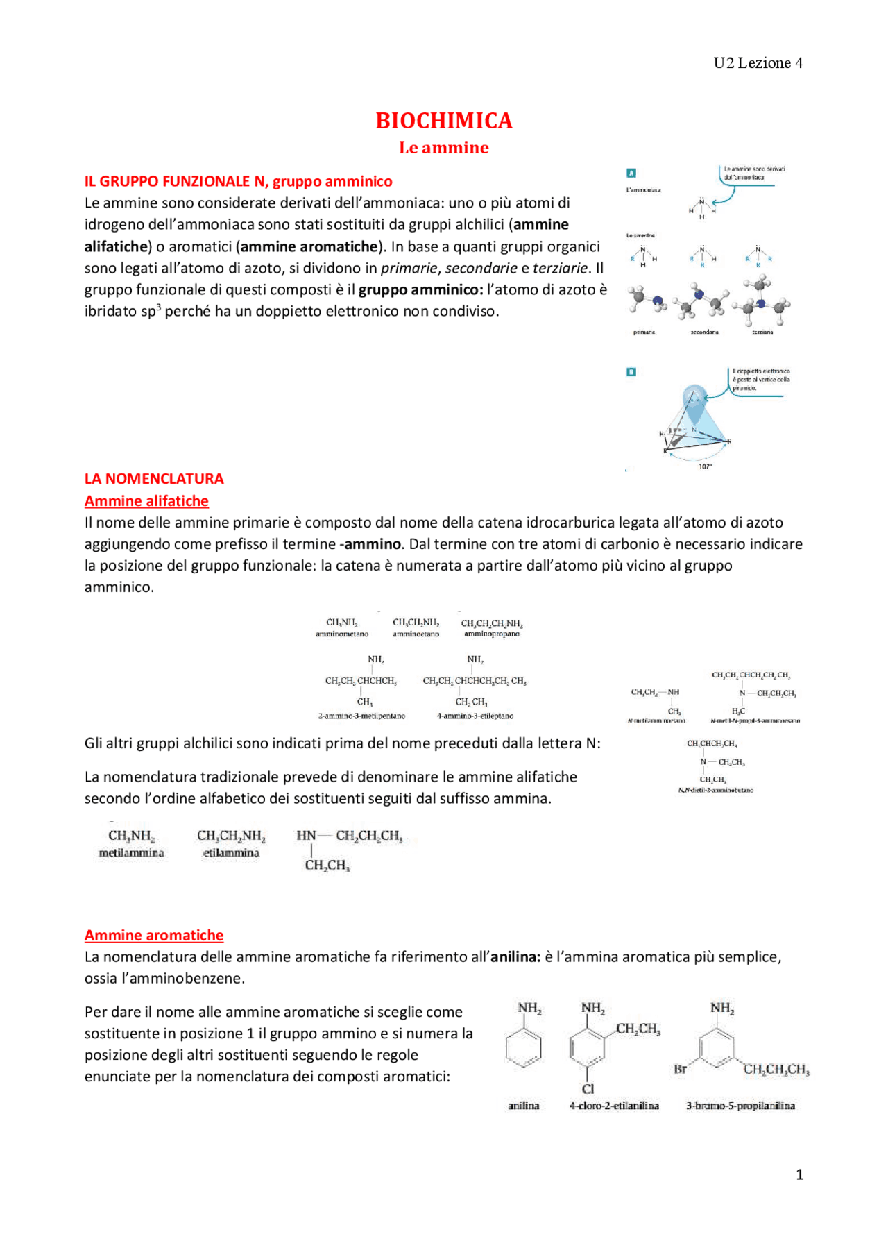 Le Ammine Docsity