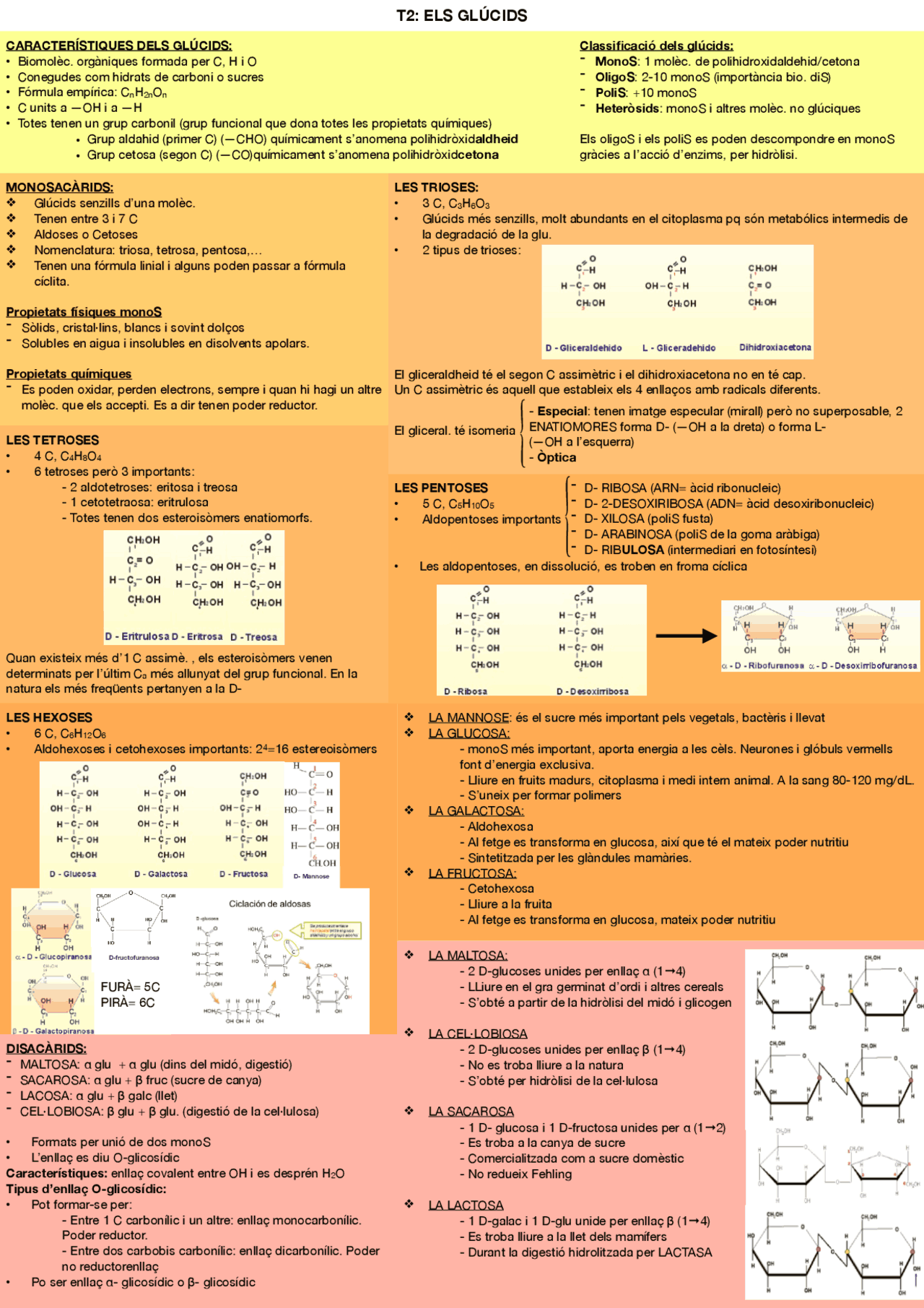 Resum Tema 2 Biologia Glúcids Docsity