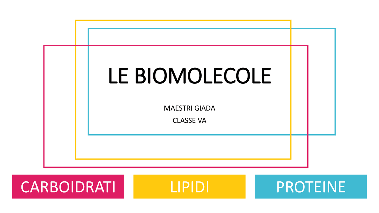 Biomolecole: carboidrati, lipidi, proteine - Docsity
