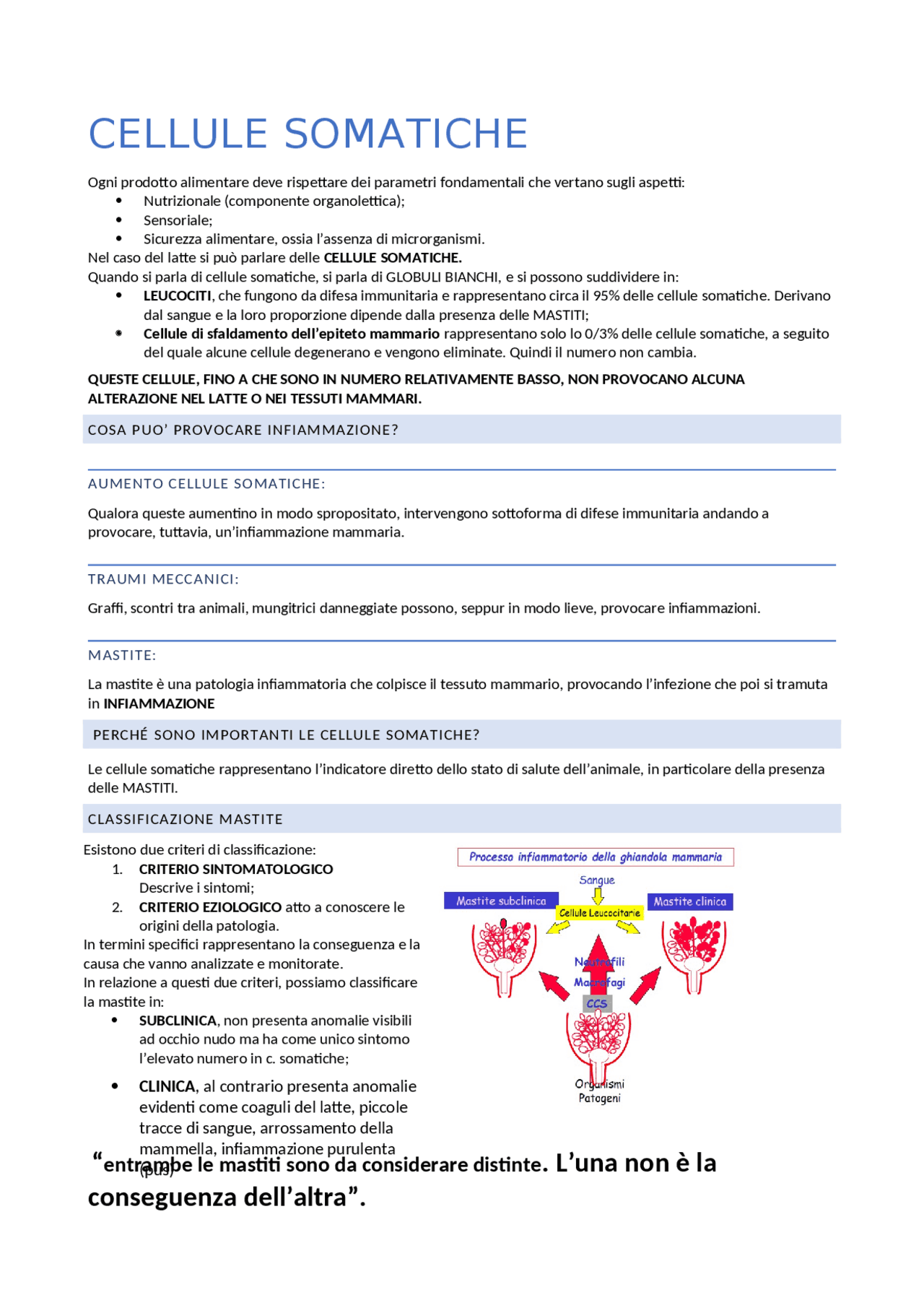 Appunti Sulle Cellule Somatiche Docsity