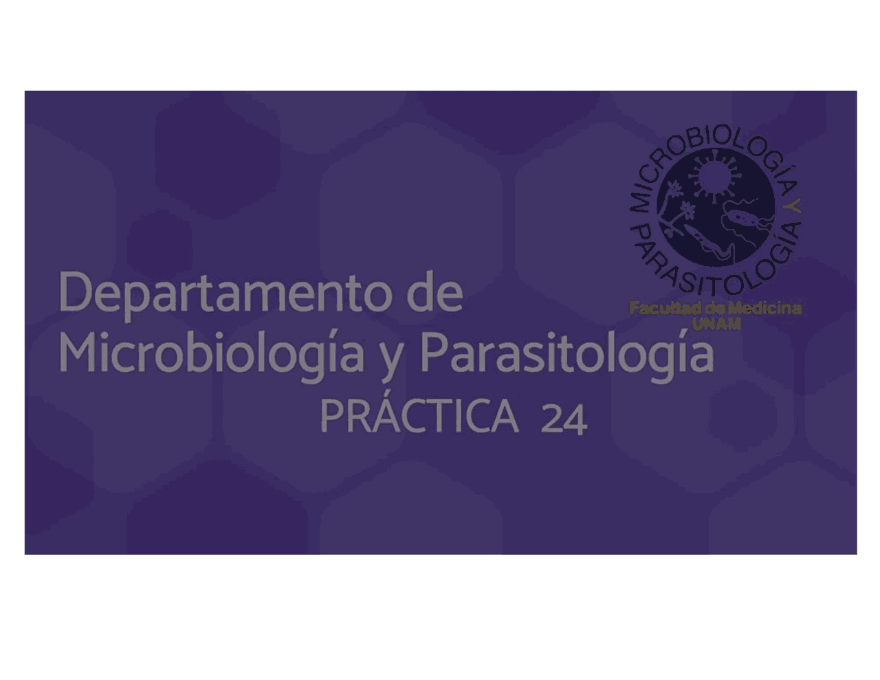 Practica Parasitología Docsity