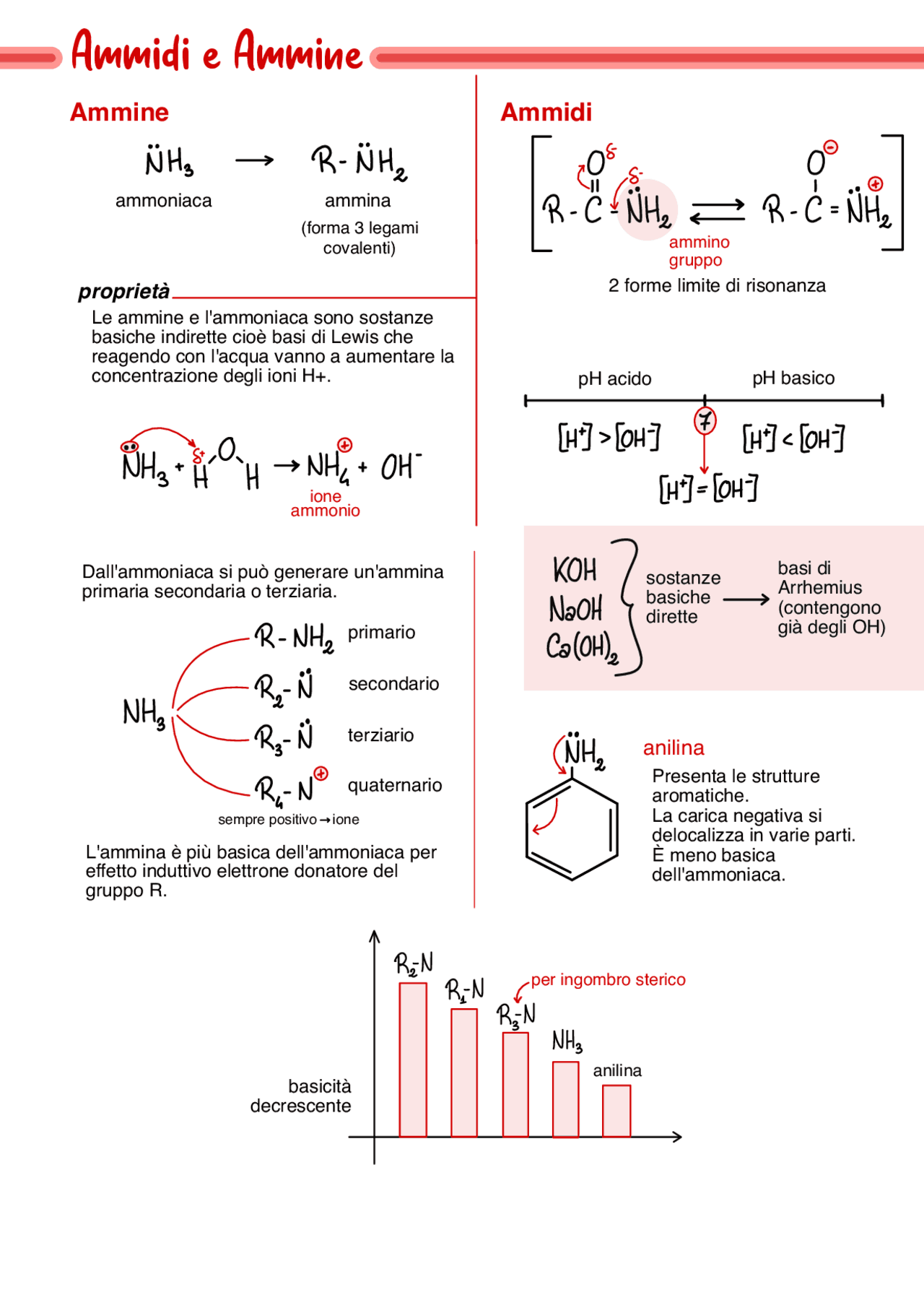 Ammidi e Ammine - - - - Docsity