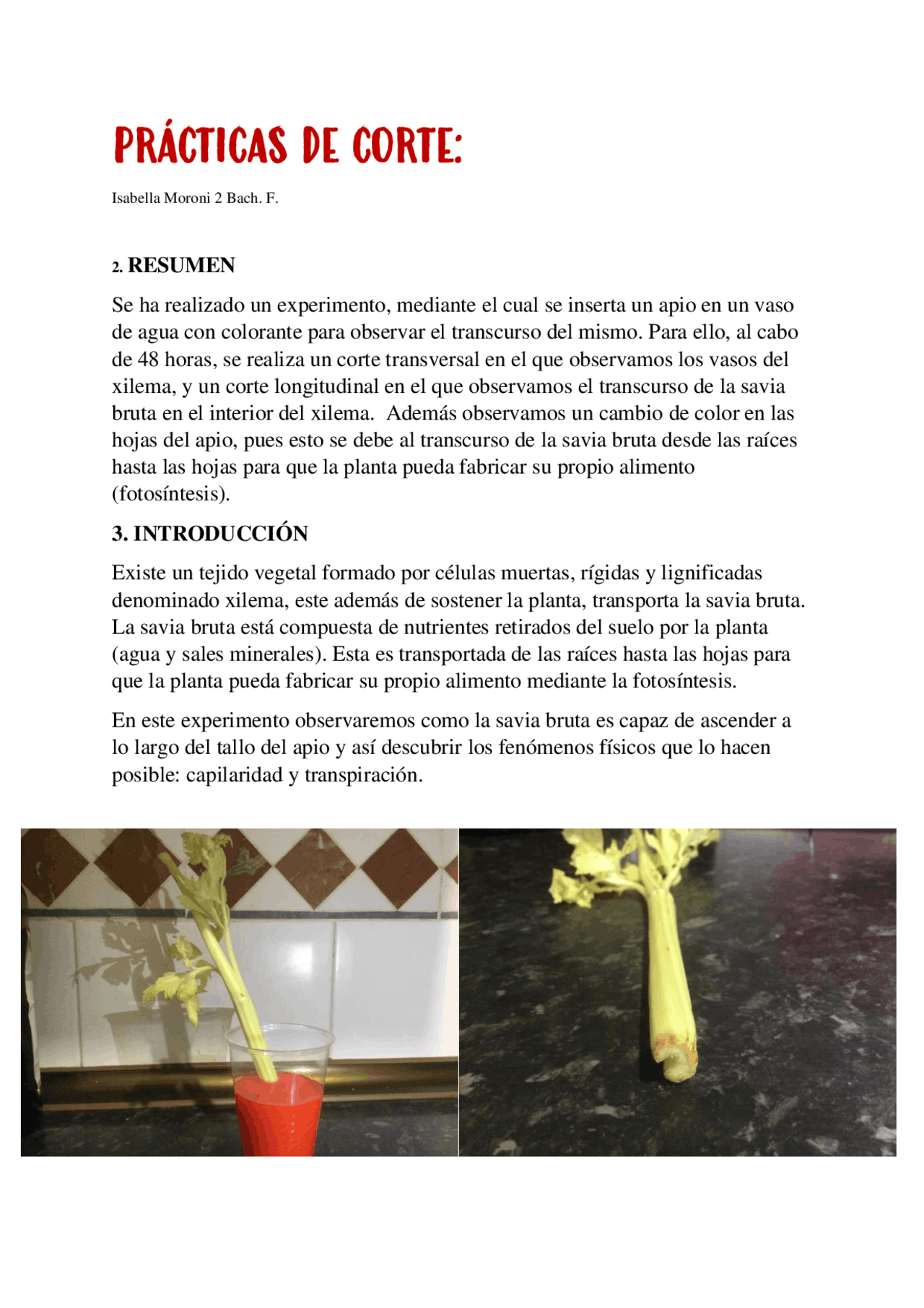 Informe De Laboratorio Apio Ejercicios De Biología Docsity